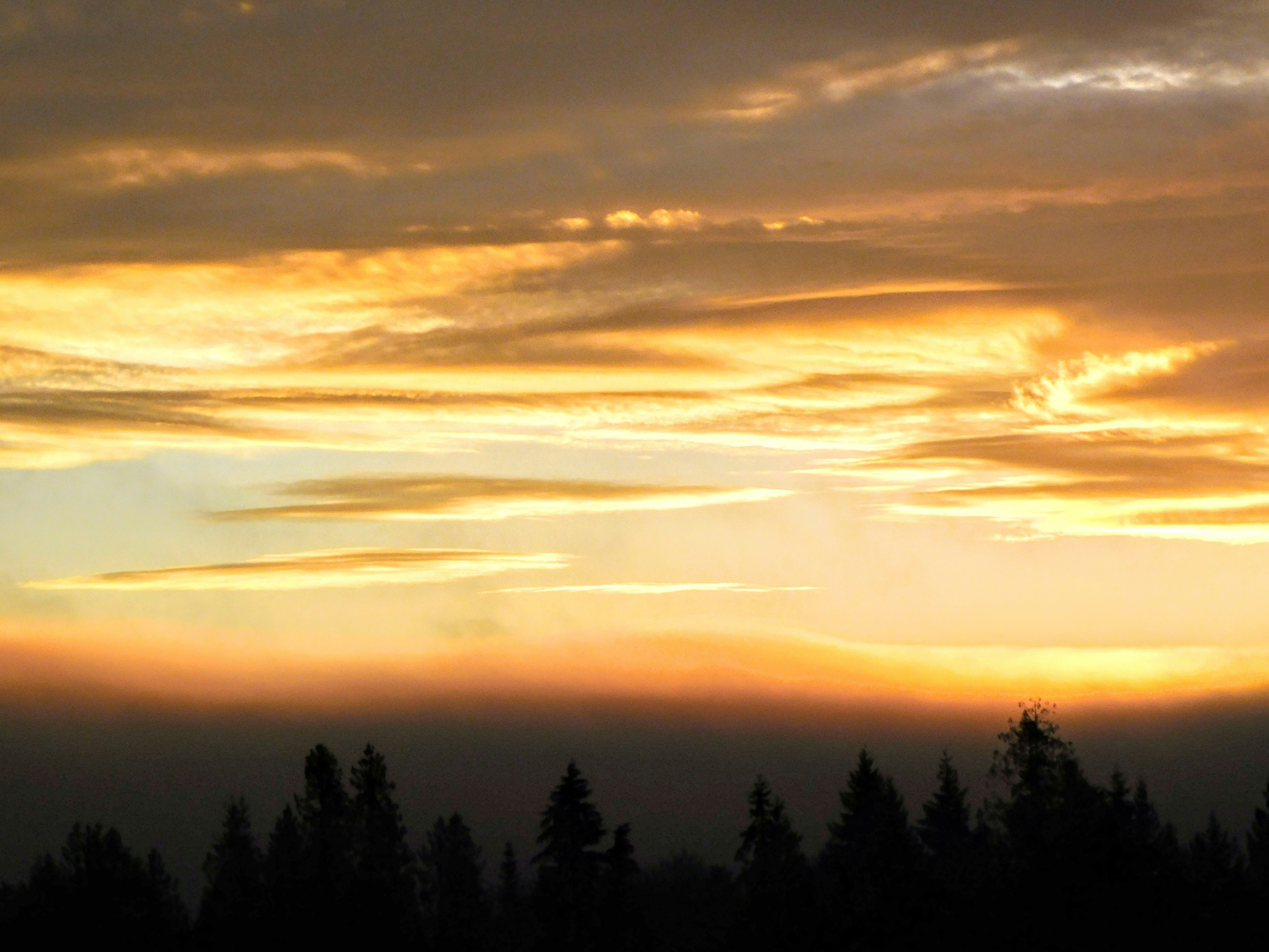 Golden Hour Sky Pictures | Download Free Images on Unsplash