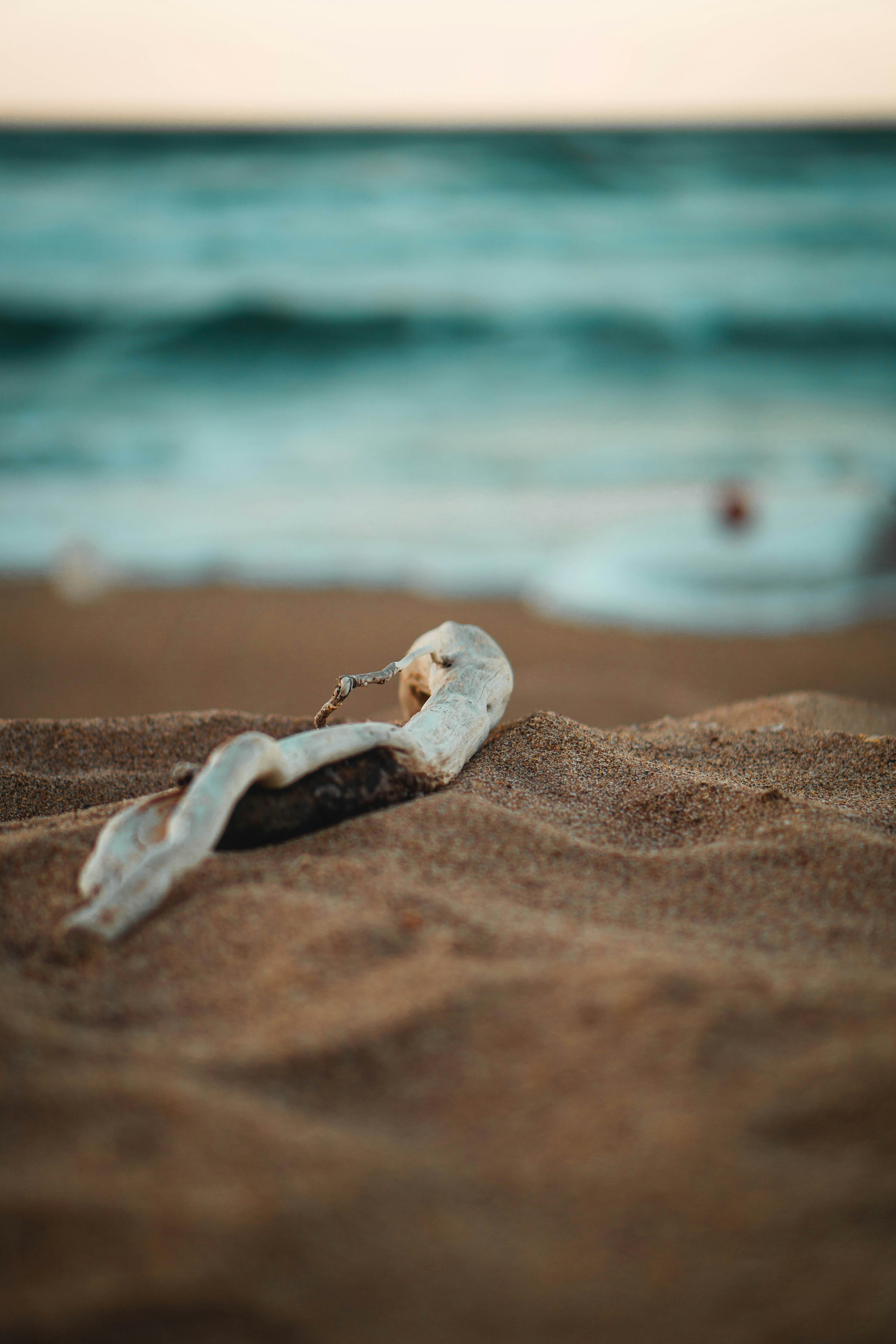 Un morceau de bois flotté sur une plage avec l’océan en arrière-plan ...