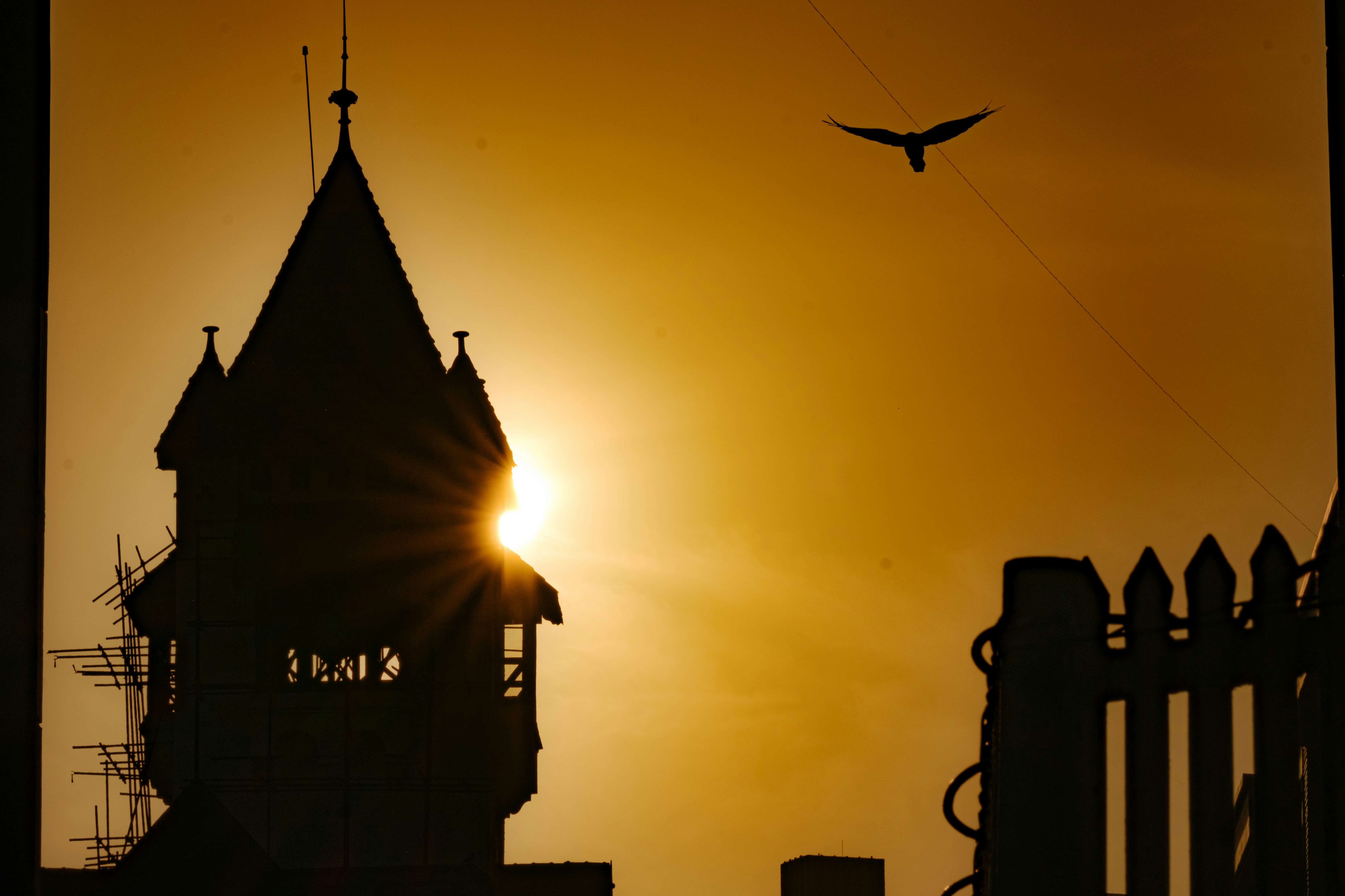 Sunlit silhouette of a clock tower against a golden sky with a soaring bird