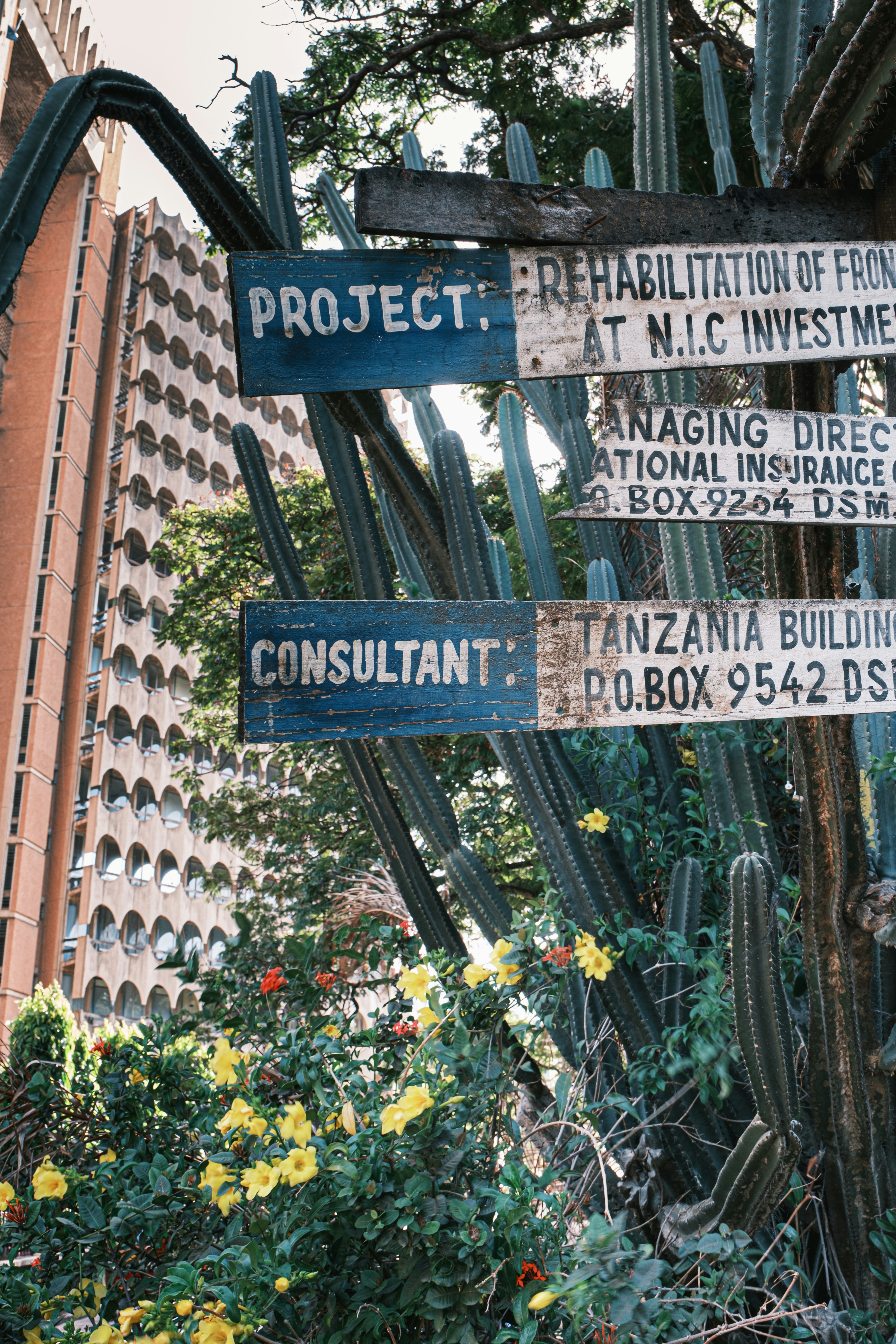 A bunch of signs that are on a pole photo – Free Tanzania Image on Unsplash