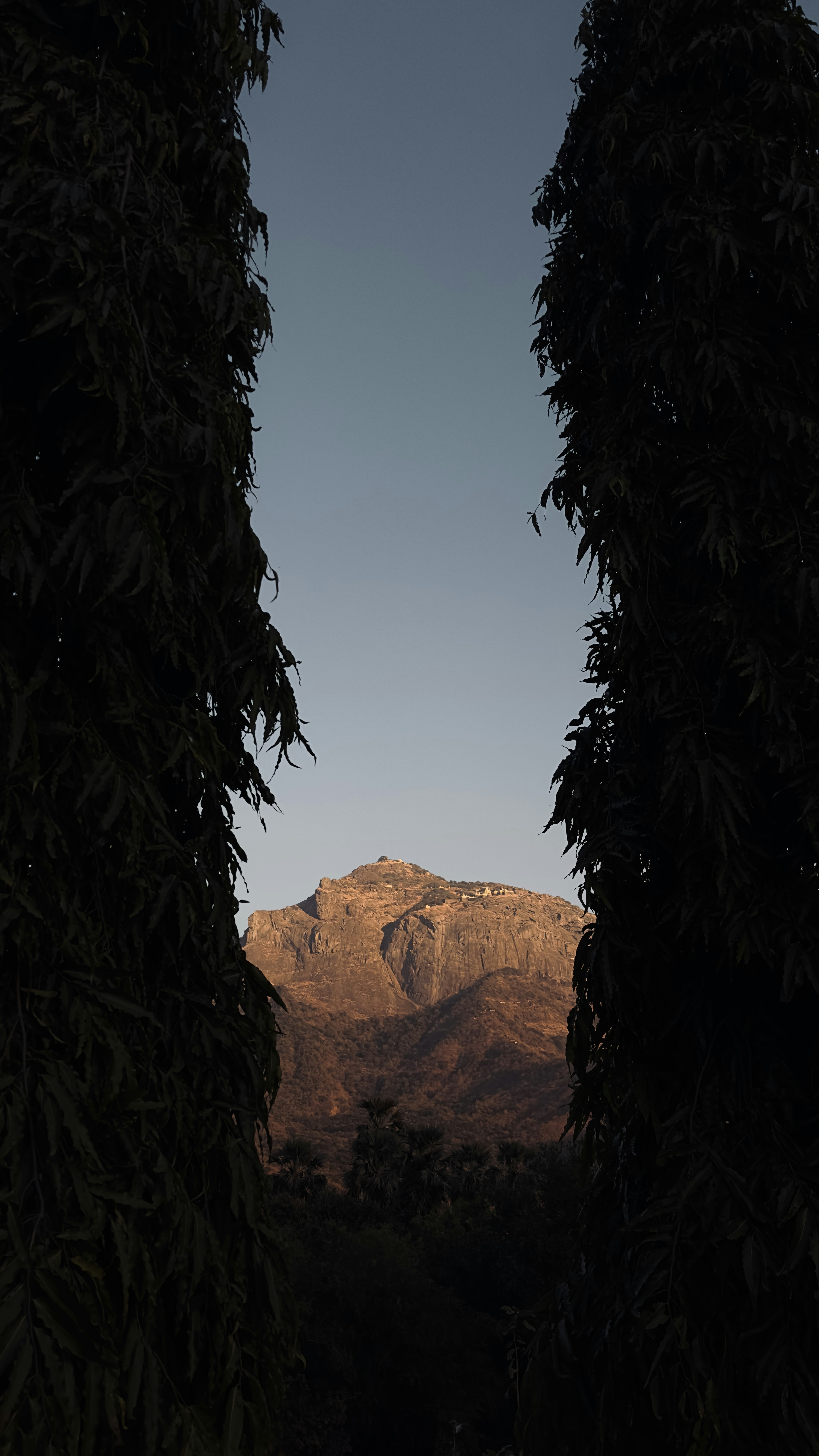 Framed View: Golden Ridge Emerges Through a Twilight Curtain