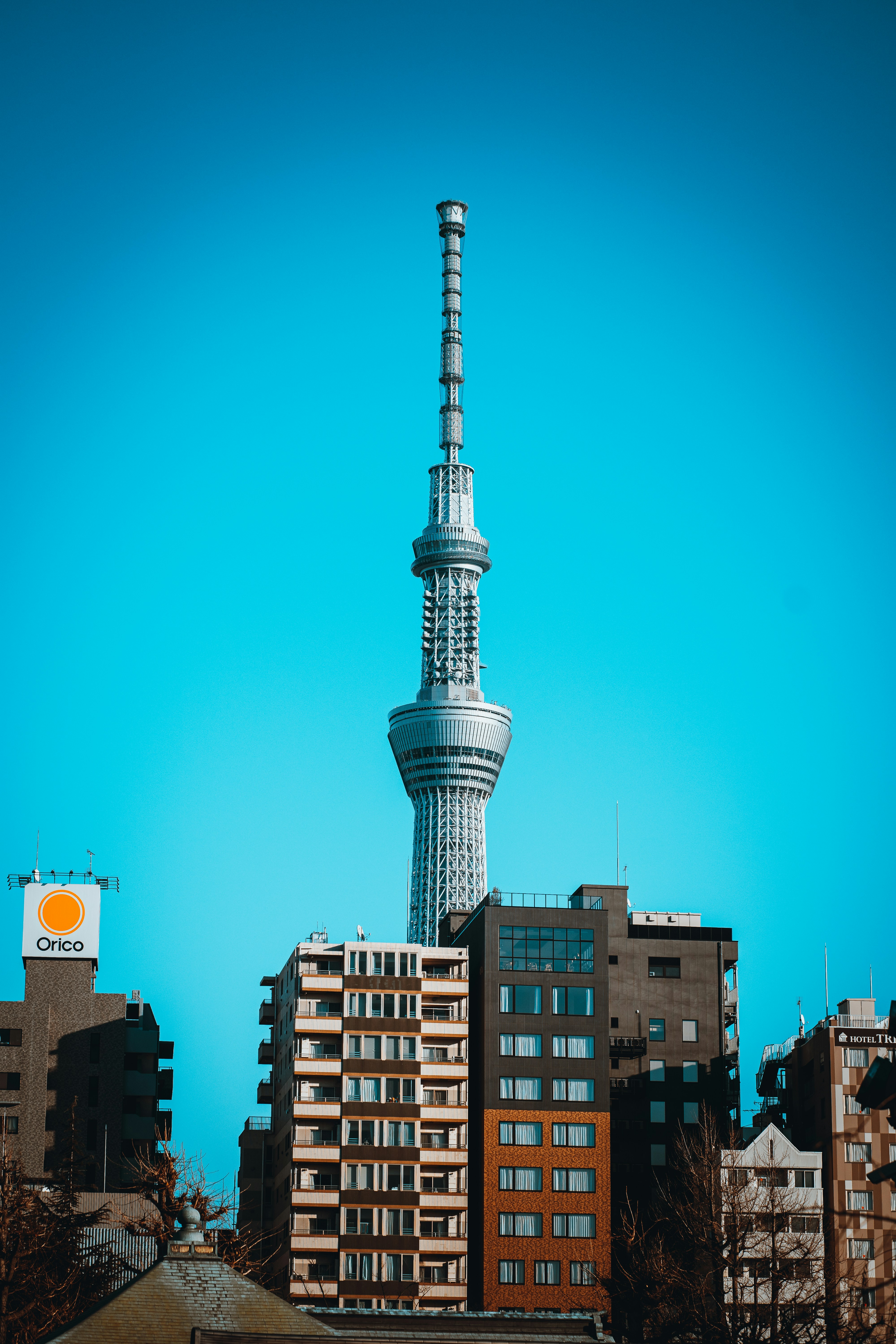 Photo by Szymon Shields with Sony Alpha 7 II