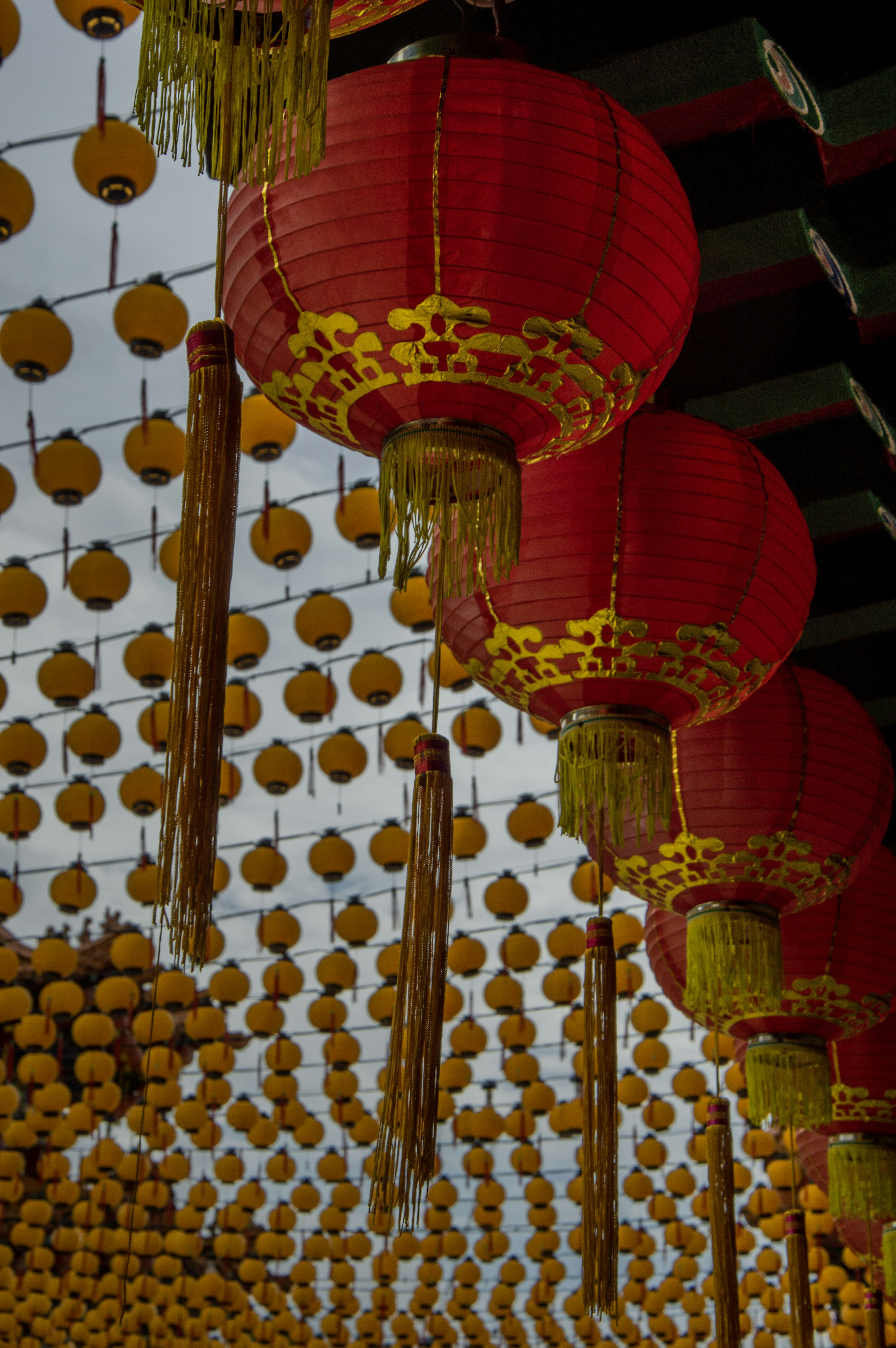 Red and gold lanterns hanging from a ceiling adorned with yellow lanterns, creating a vibrant atmosphere. The intricate designs enhance the festive ambiance.