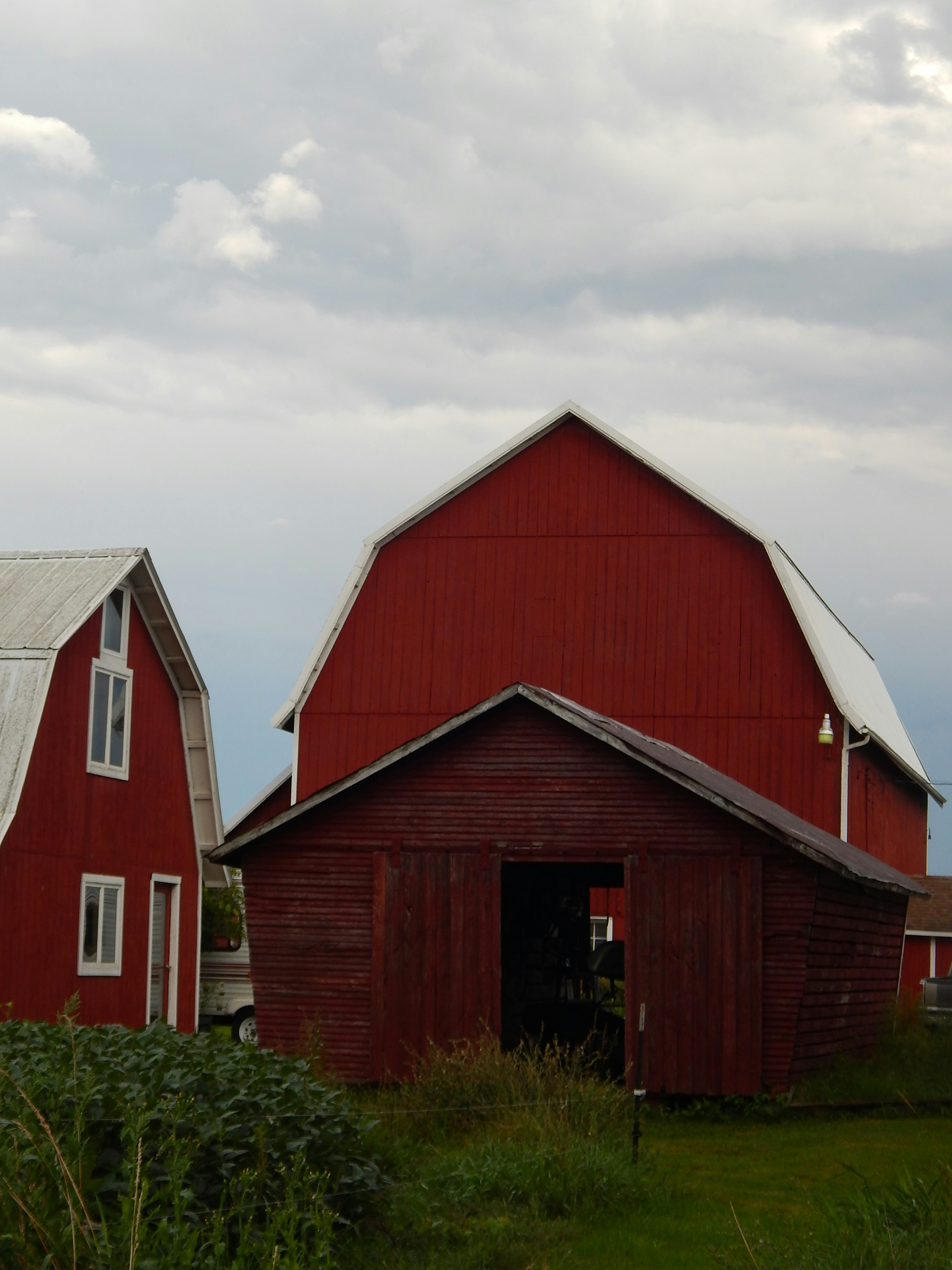 Red Barns and White Roofs: A Quiet Farmstead Under a Cloudy Sky