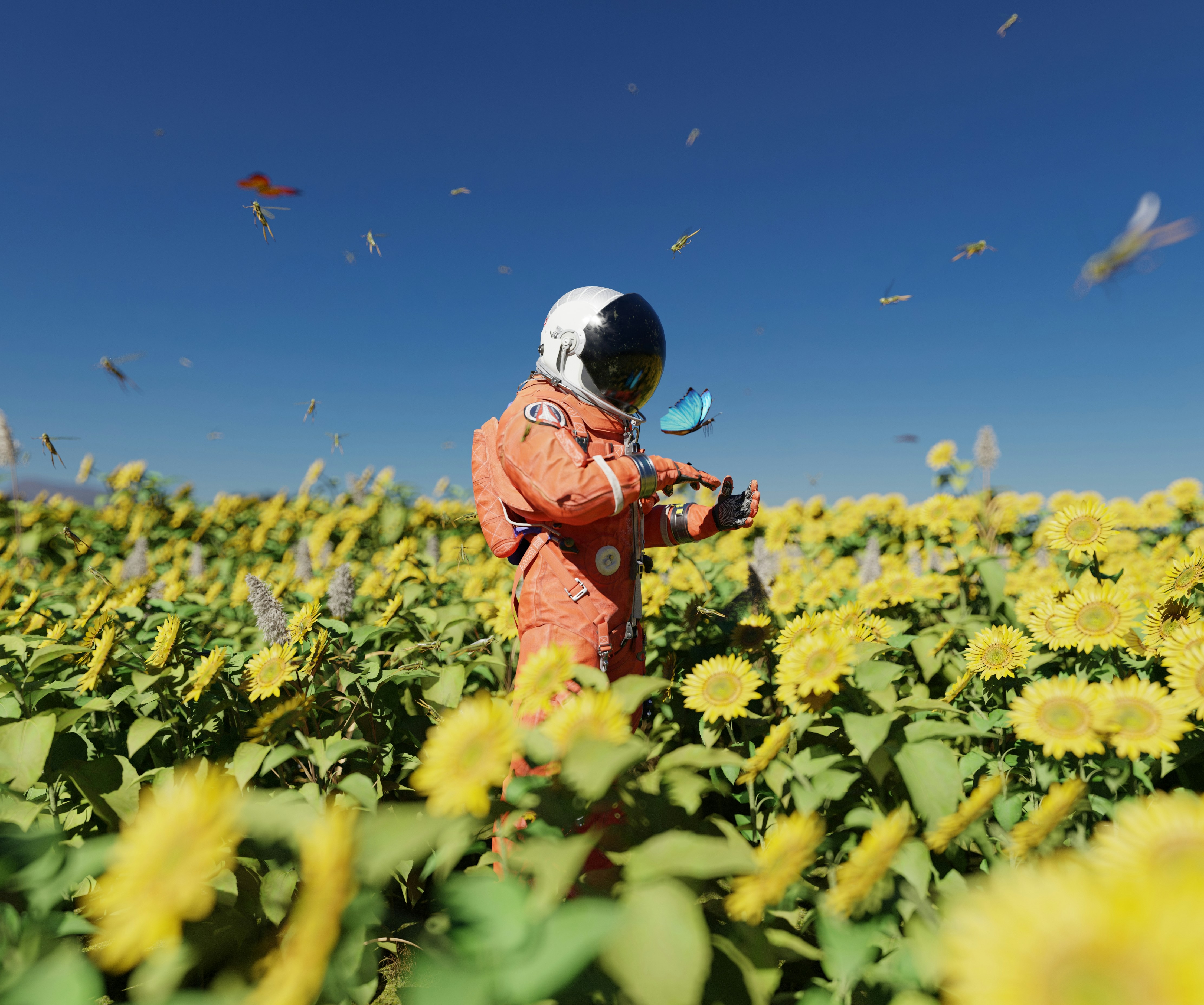 The Hidden Dangers of Pesticides