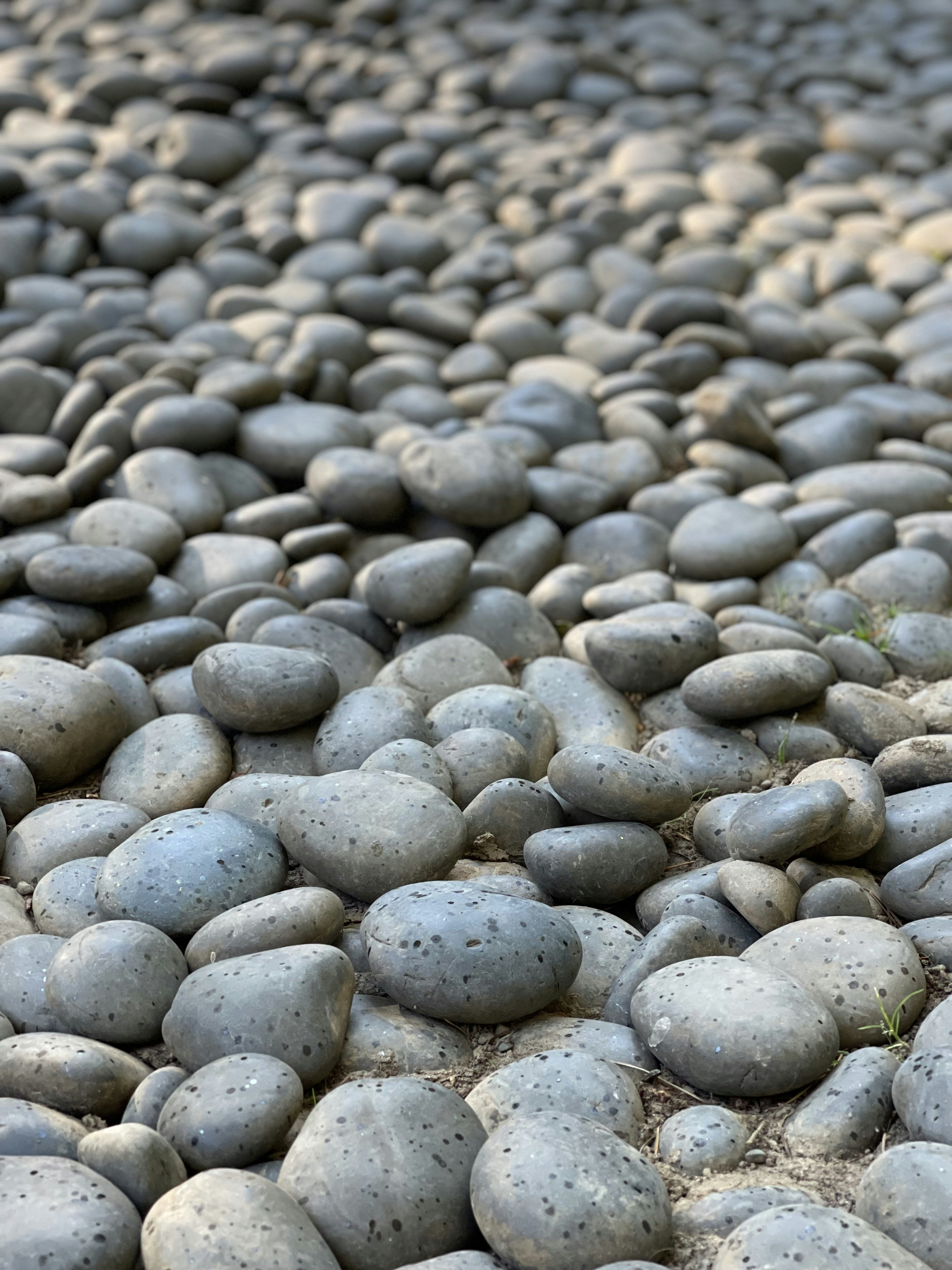 Riverstone Bed at Japanese Garden