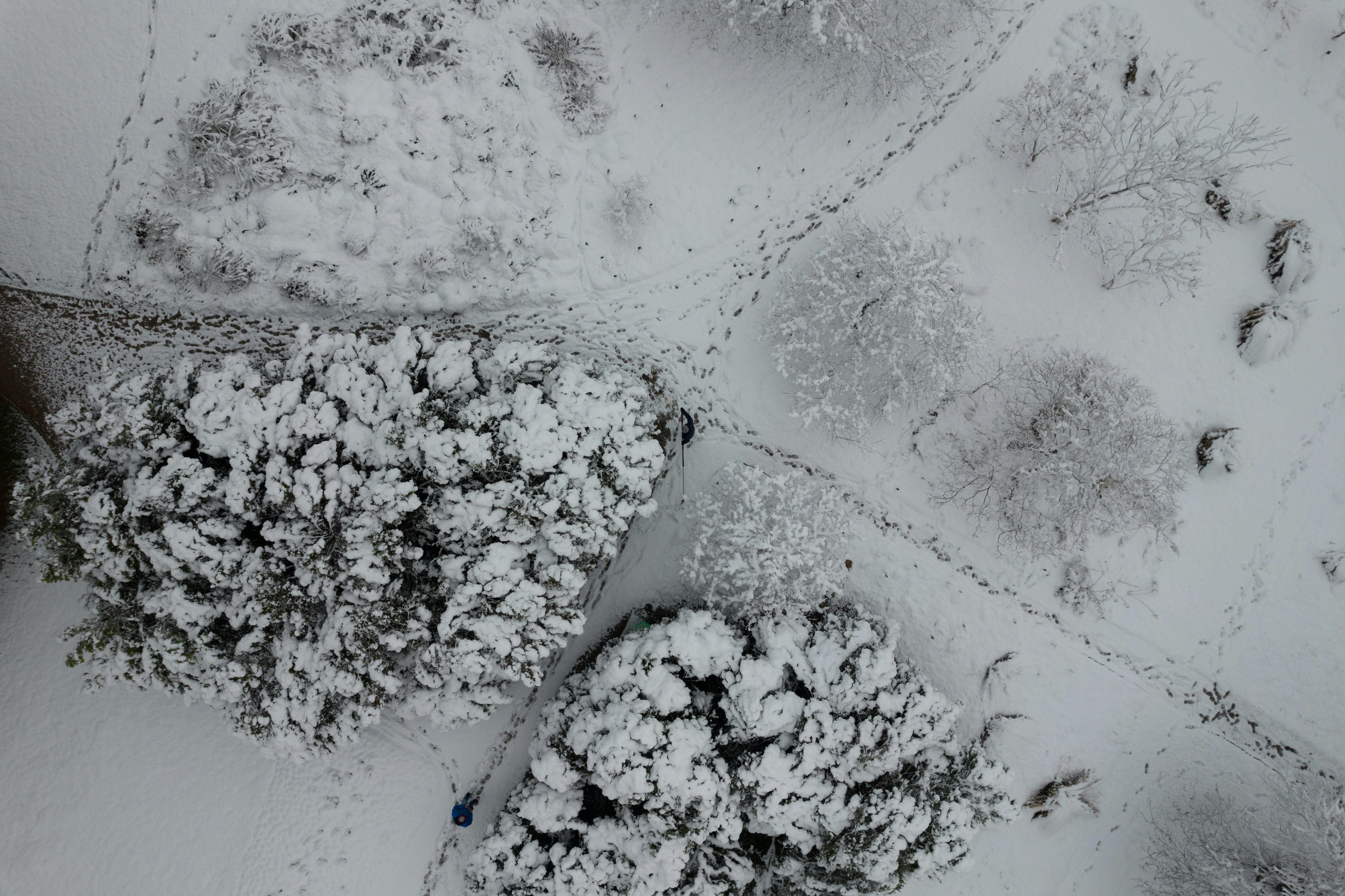 An aerial view of a snow covered forest photo – Free Winter Image on ...