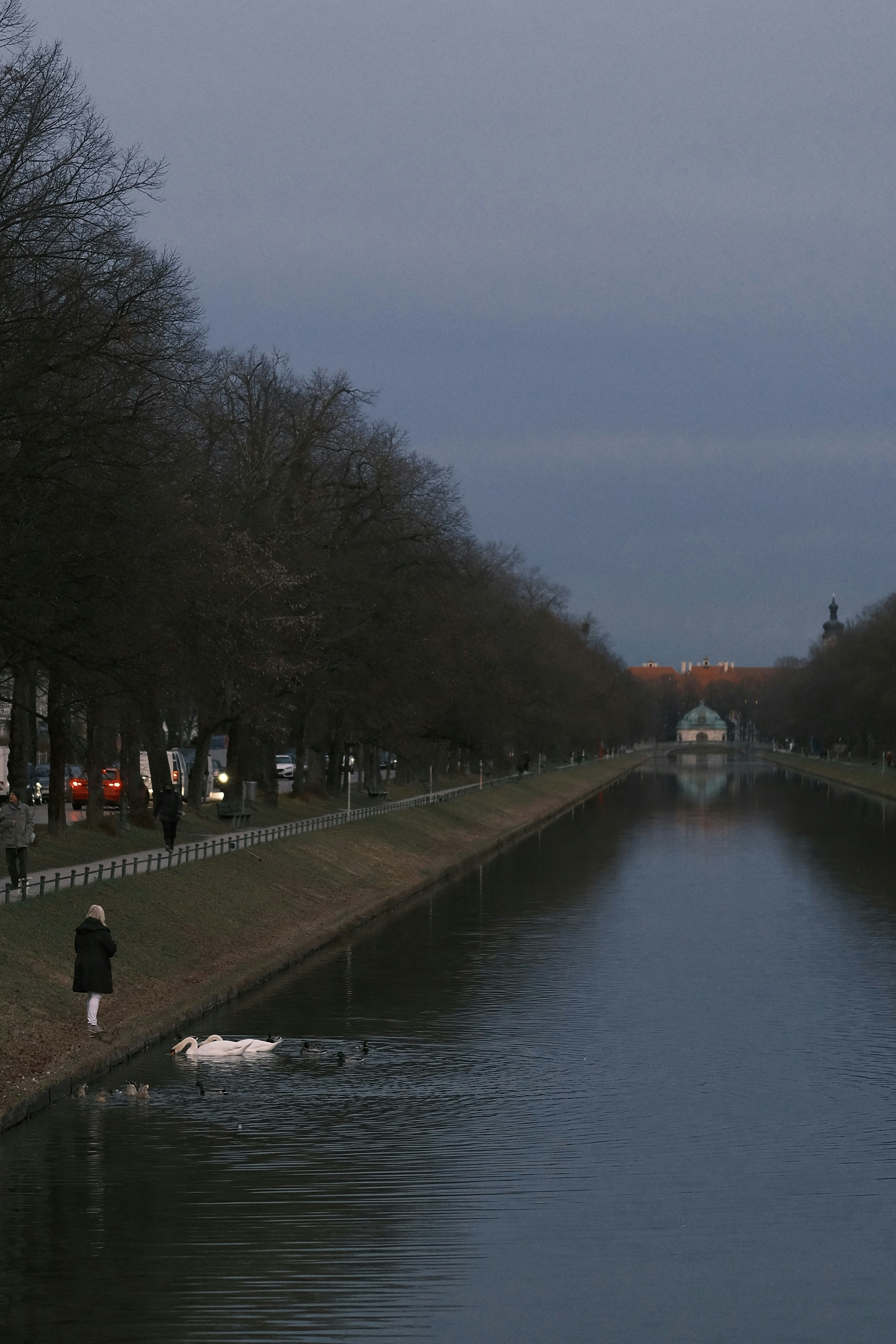 a body of water surrounded by trees and buildings