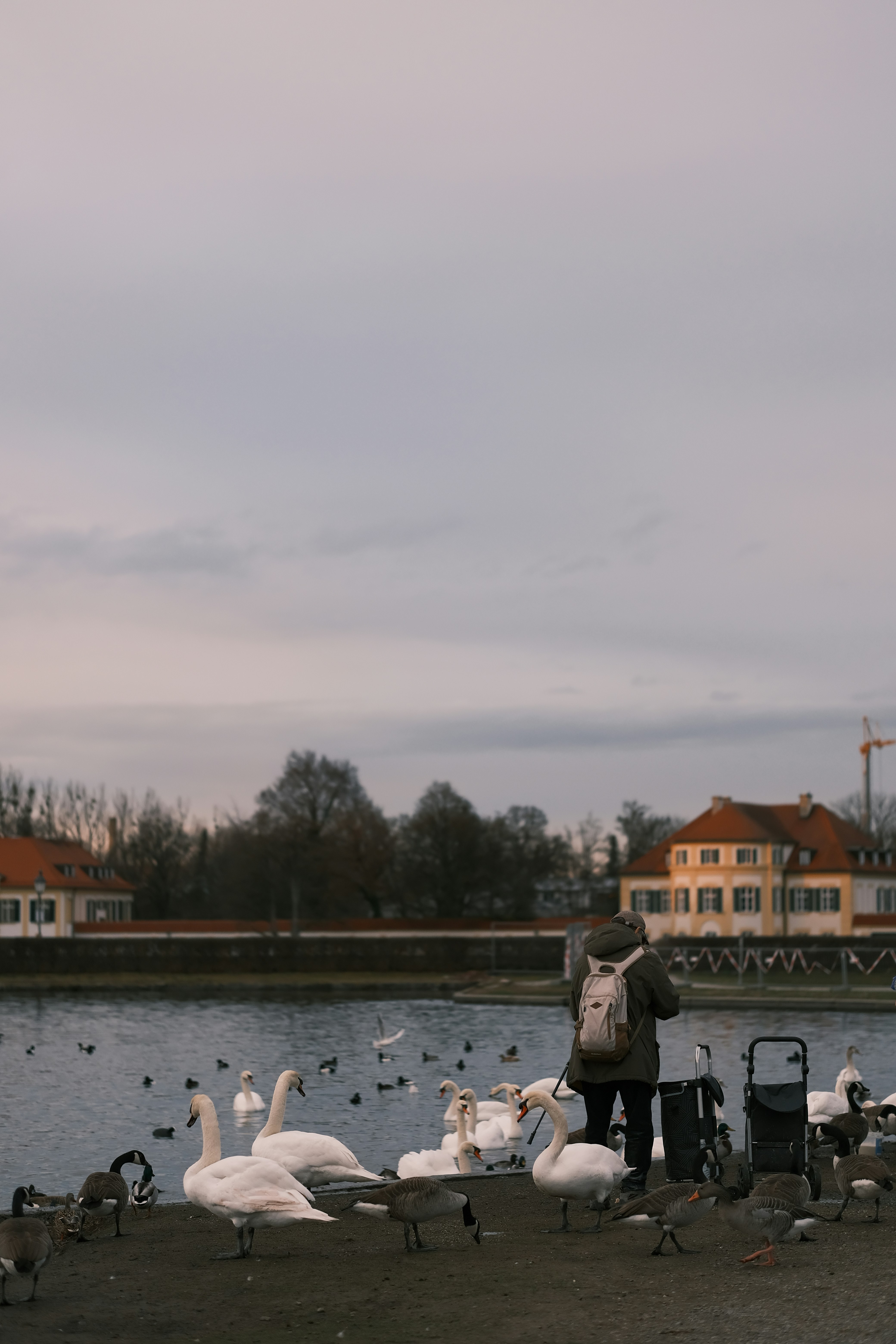 Photo by Nk Ni with Fujifilm X-T30 II