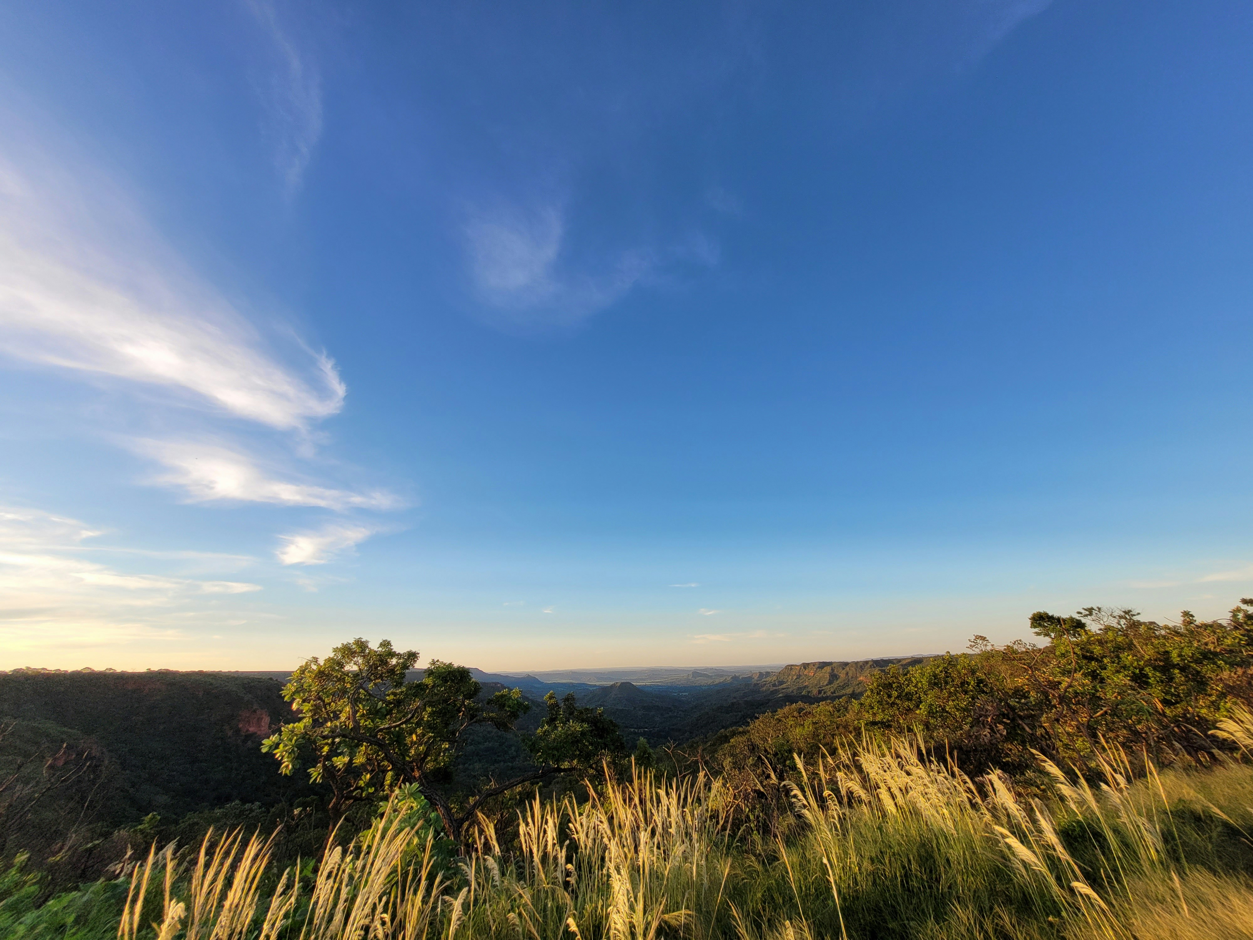Golden grasses sway in the foreground with a sprawling landscape beneath a clear blue sky.