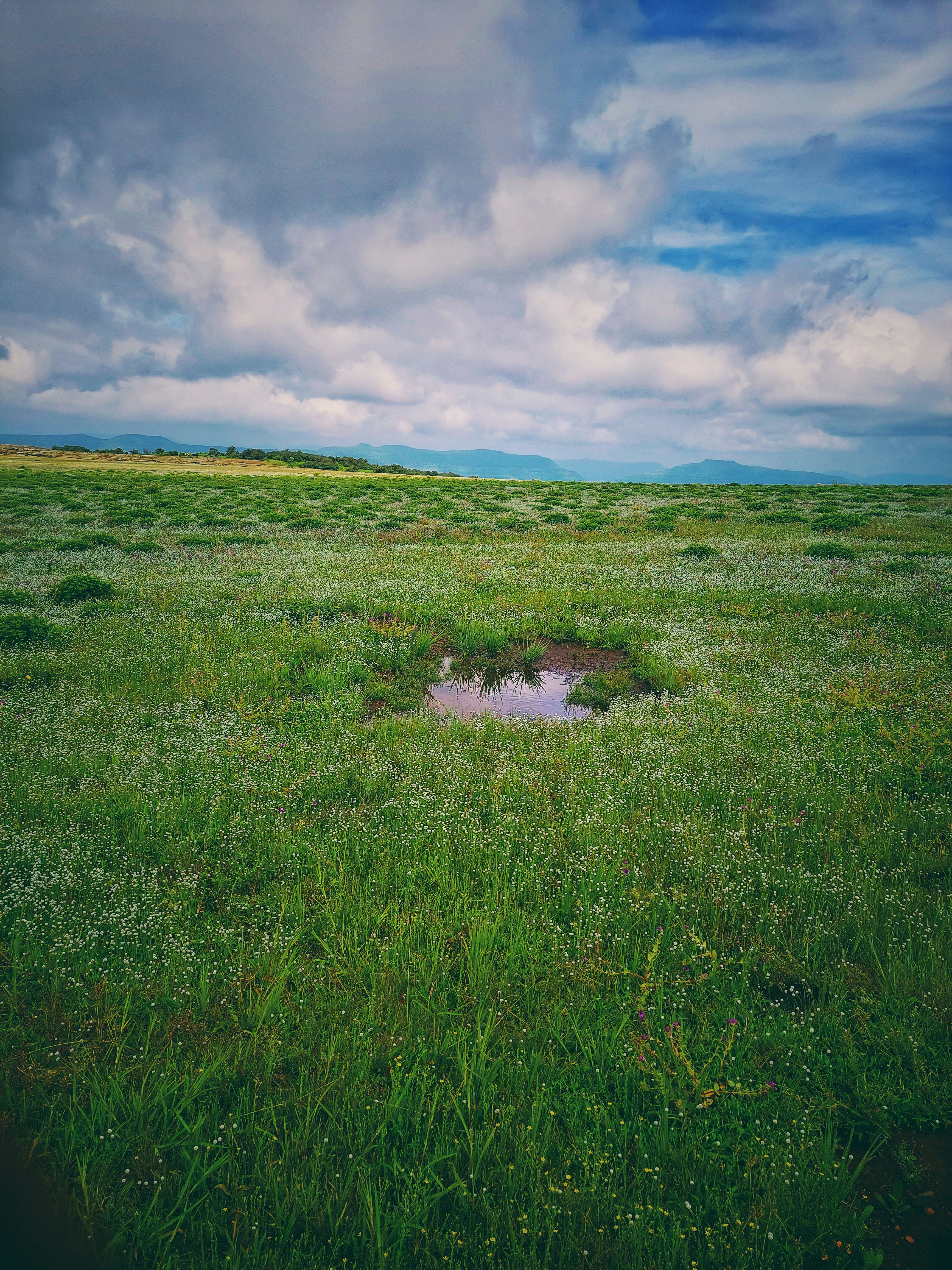 A field with a puddle of water in the middle of it photo – Free Nature ...