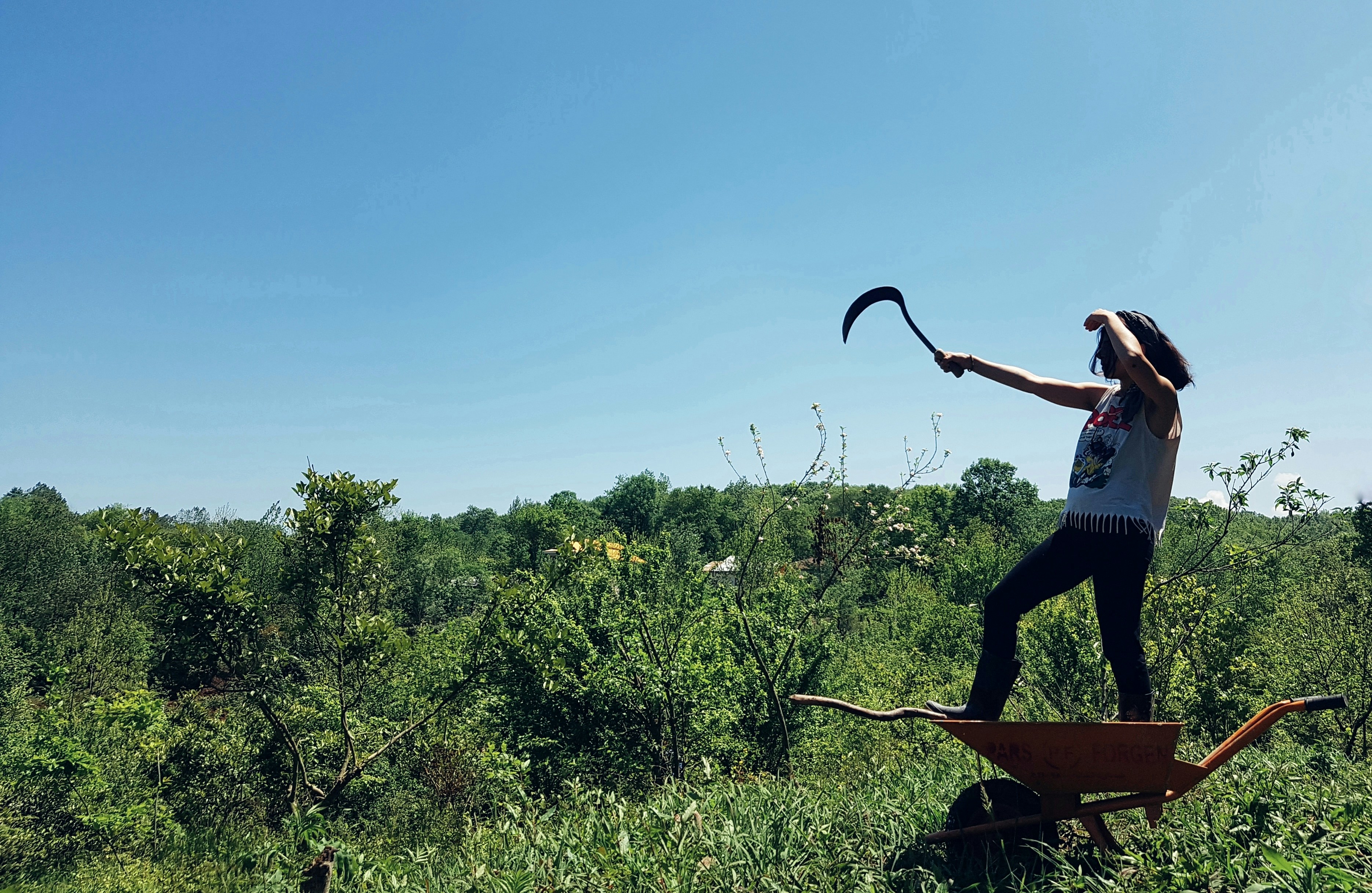 Sunlit Gambit on a Wheelbarrow: A Daring Throw in an Open Field