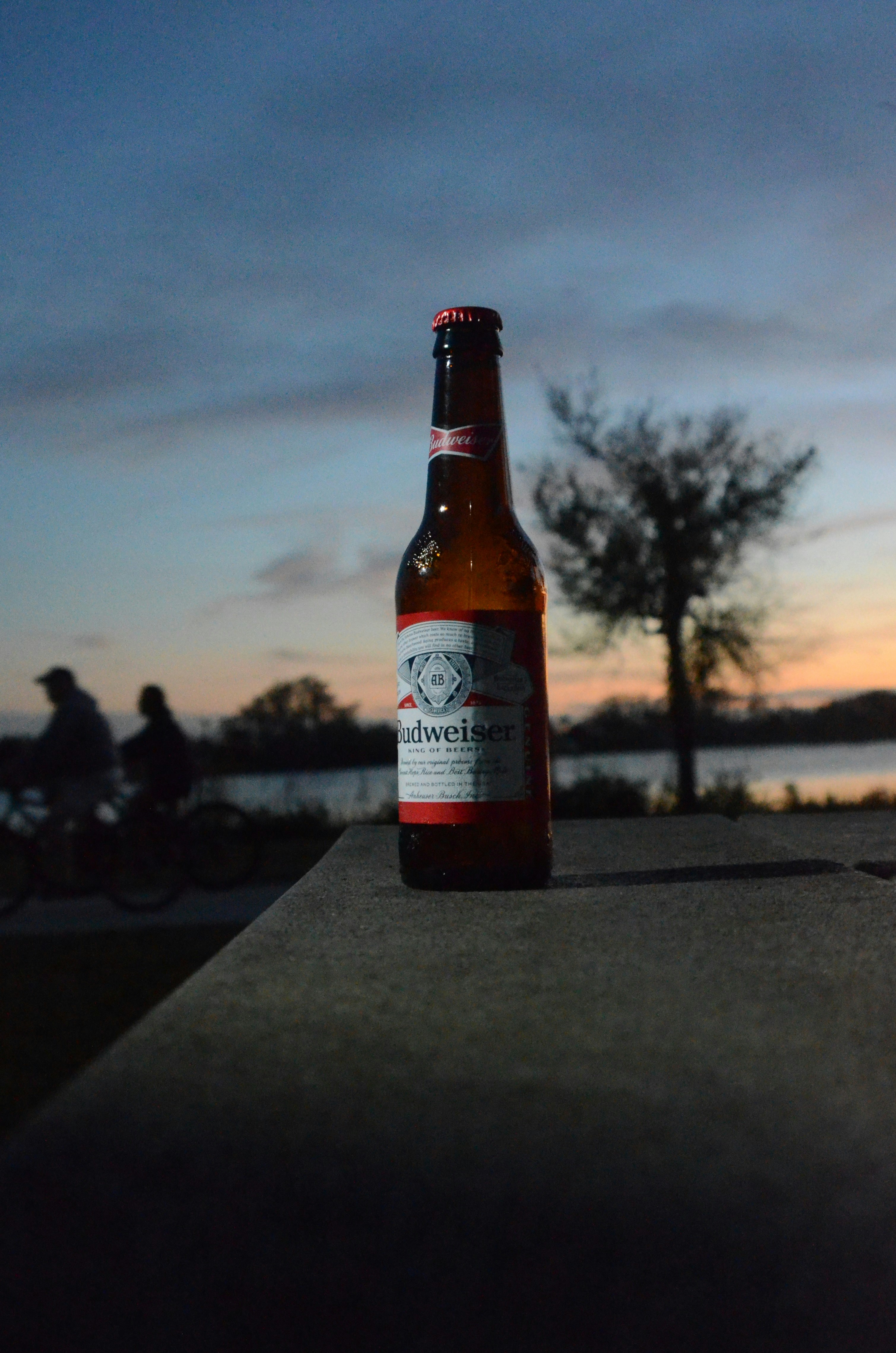 A bottle of beer sitting on top of a cement slab photo – Free Usa Image ...