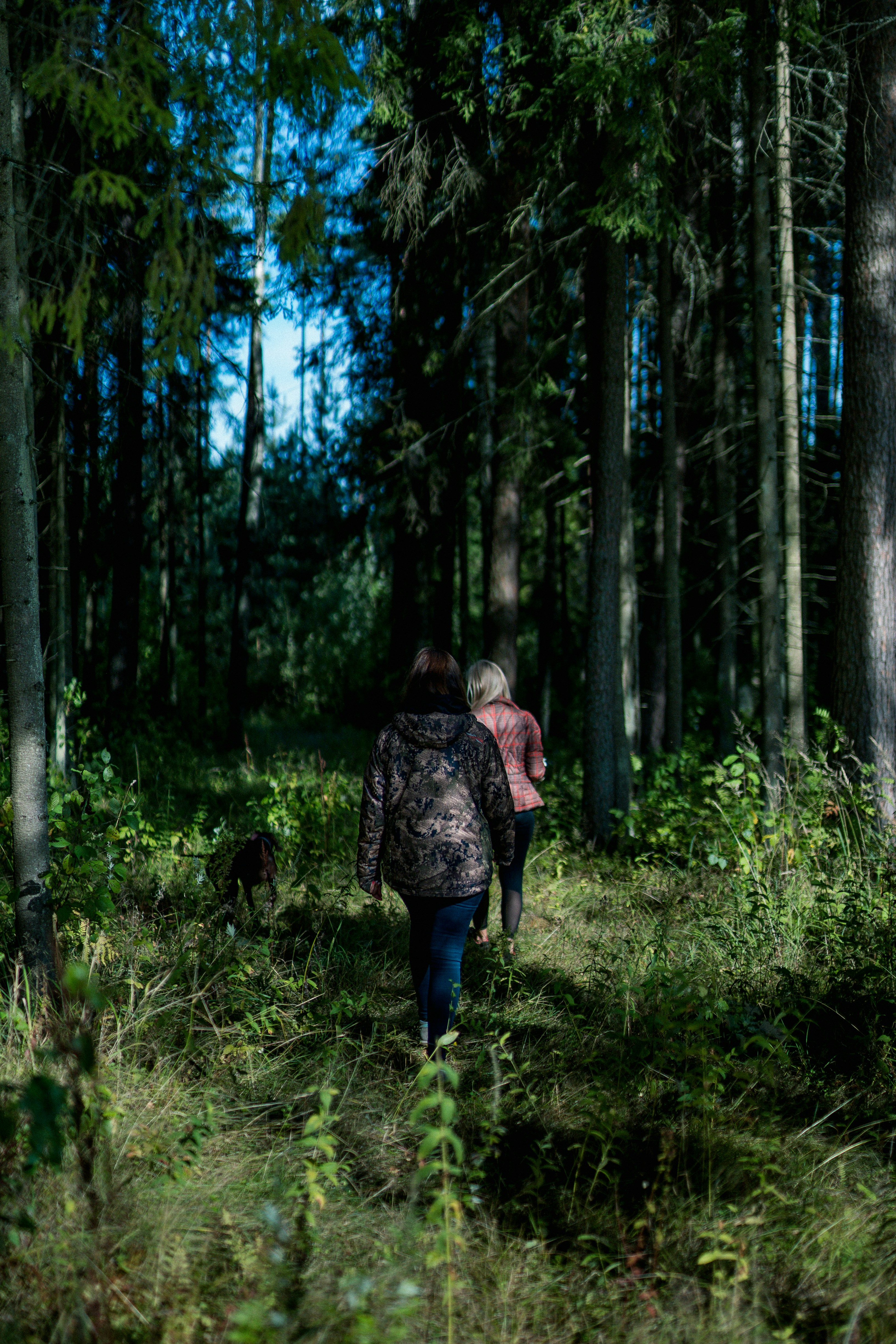 a couple of people walking through a forest