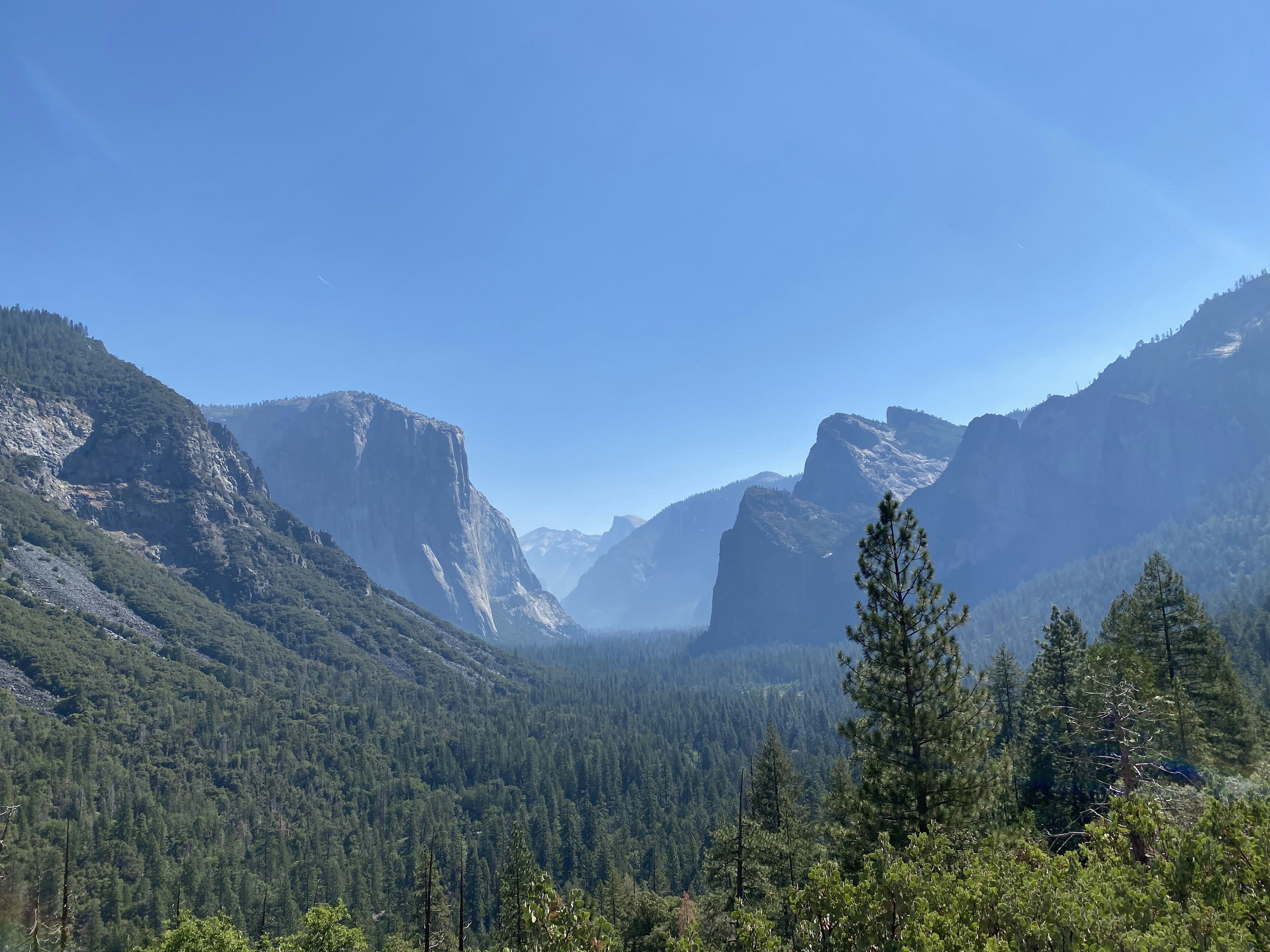 Thunder Frog (@thunderfrog) | Komunitas Foto Unsplash