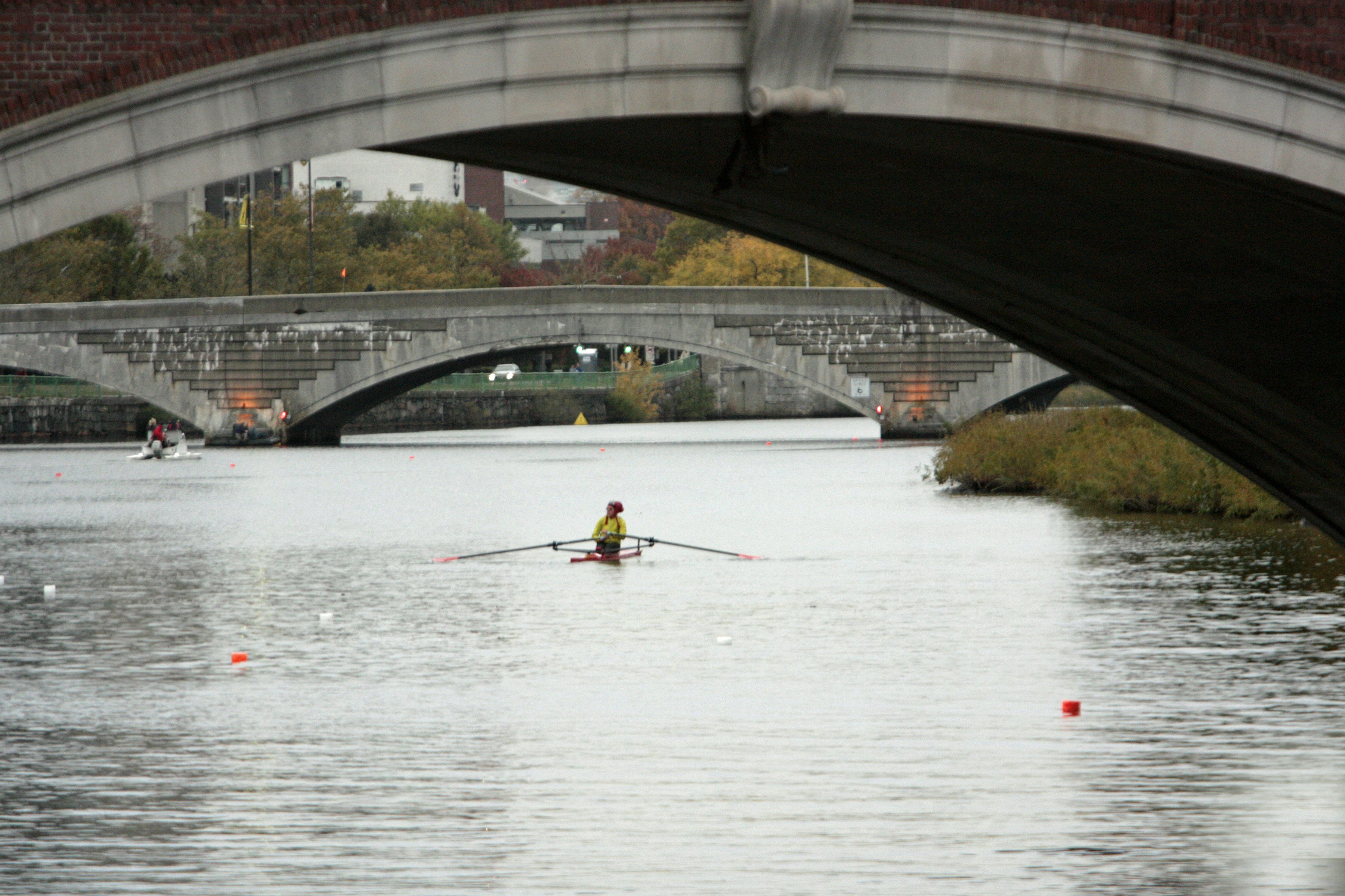 A person rowing a boat under a bridge photo – Free Rower Image on Unsplash
