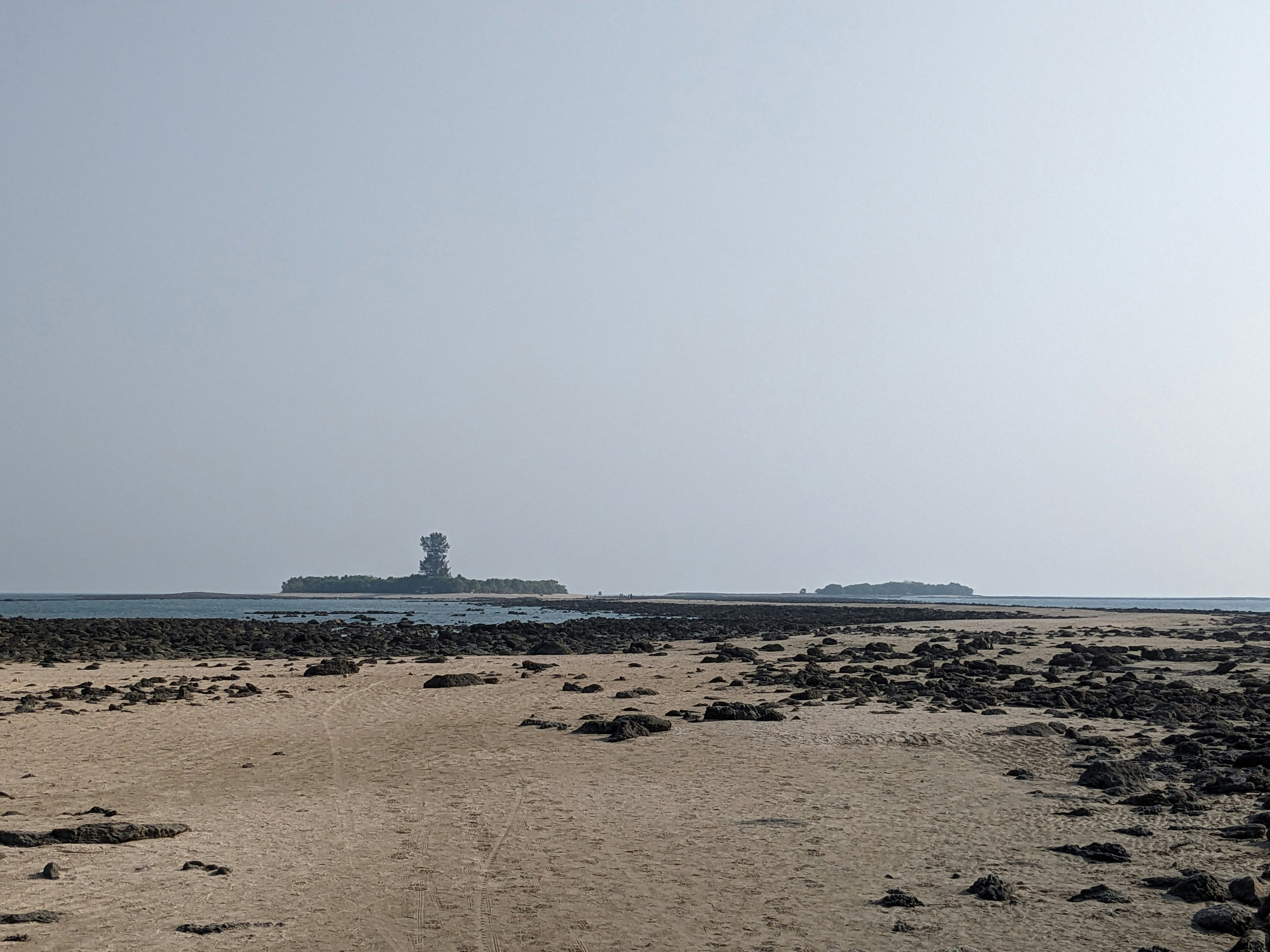 Isolated Tree on a Misty Horizon Over a Pebble-Strewn Beach