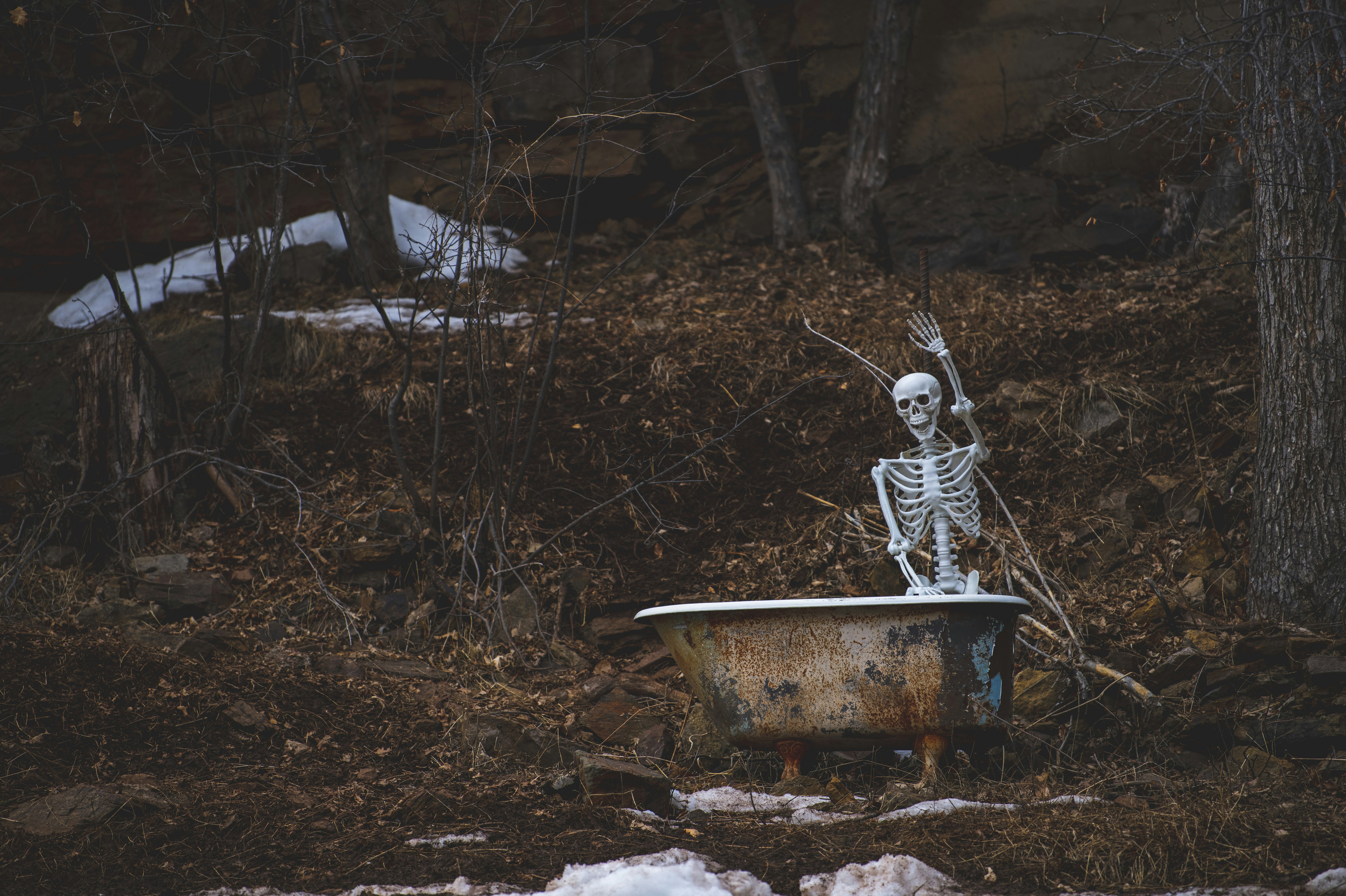 A skeleton sitting in a bathtub in the woods photo – Free Skeleton ...