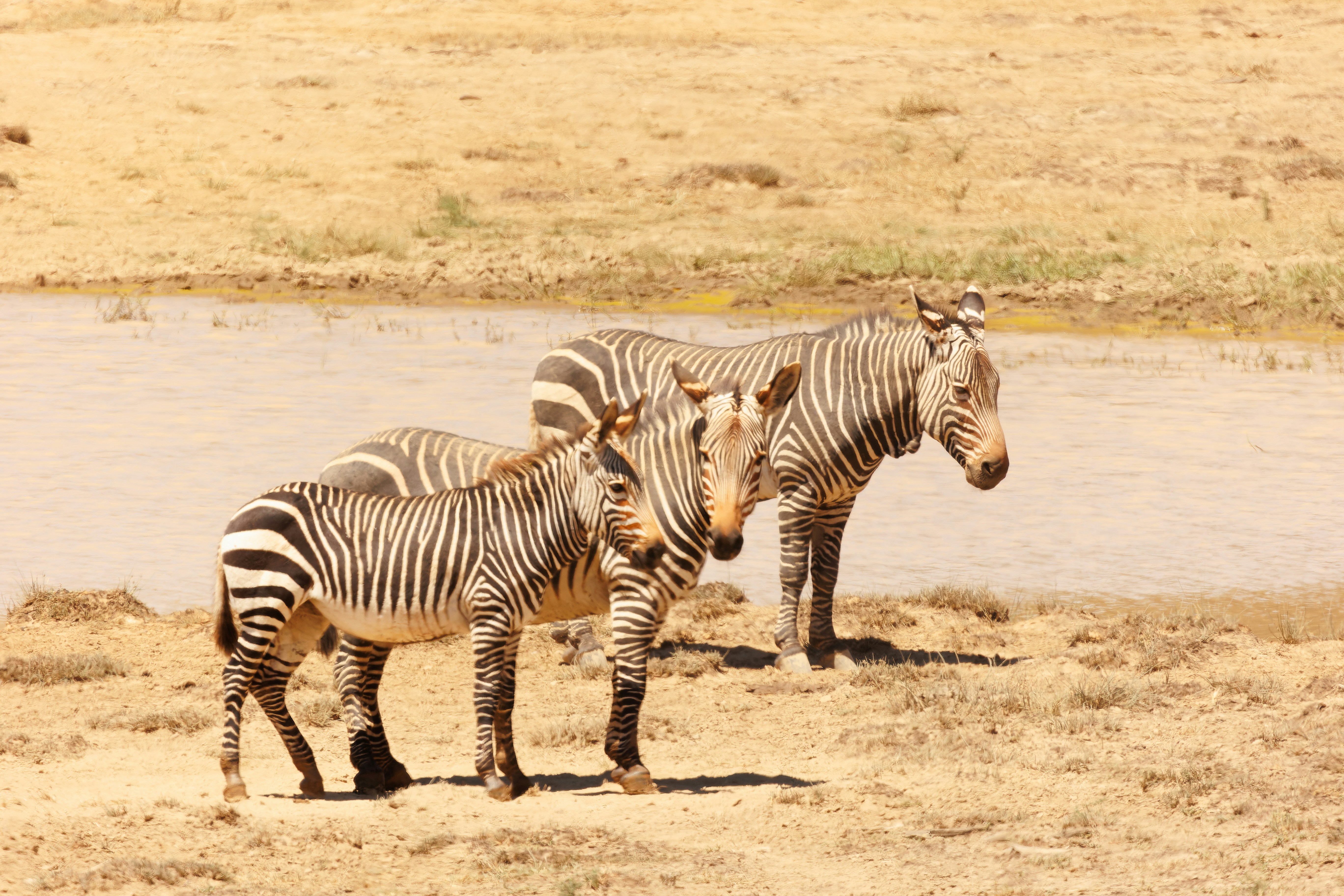 Photo by Charl Durand with Canon EOS R6