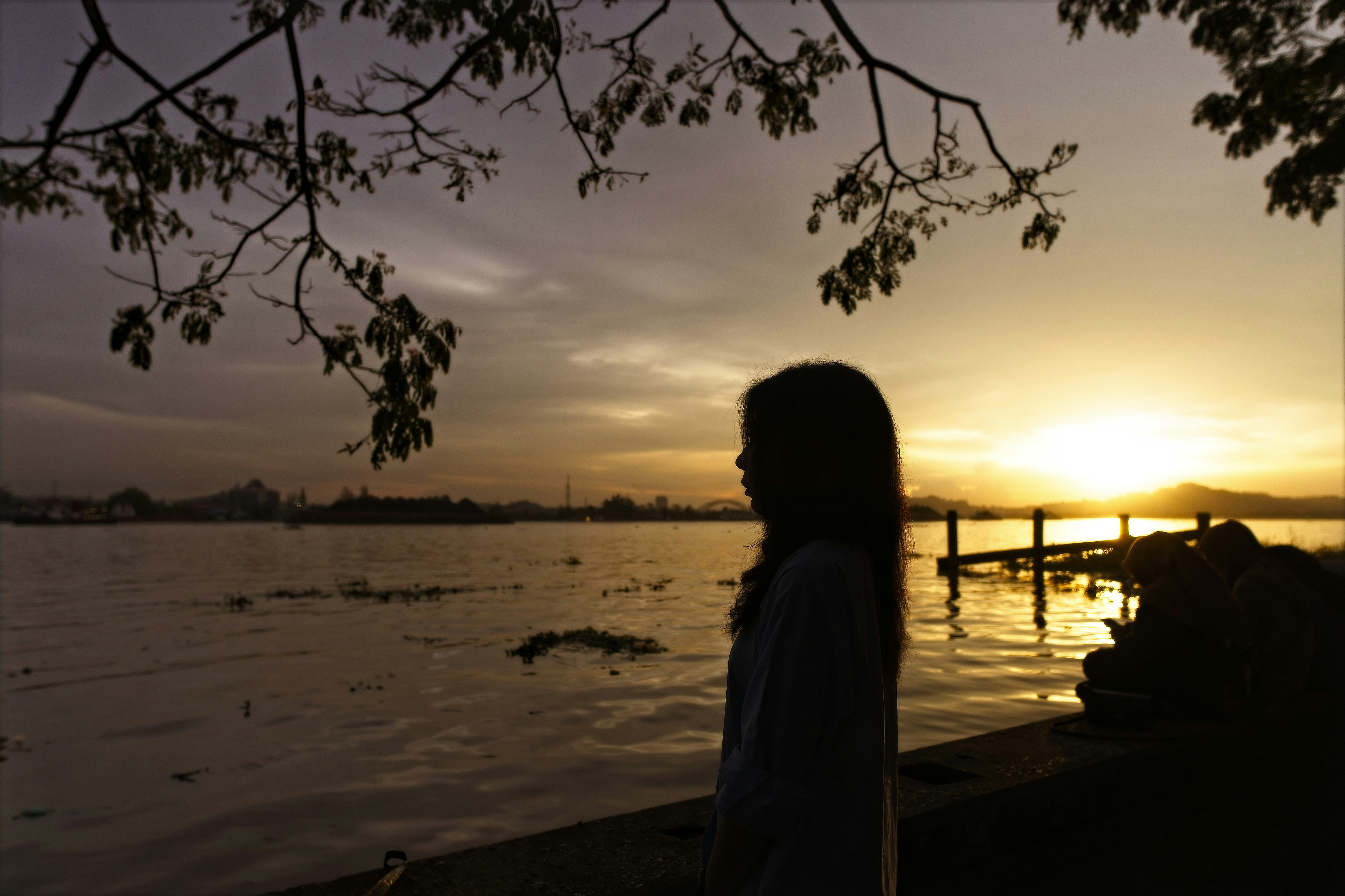 Dusk Silhouette by the Riverside: Quiet Golden Hour