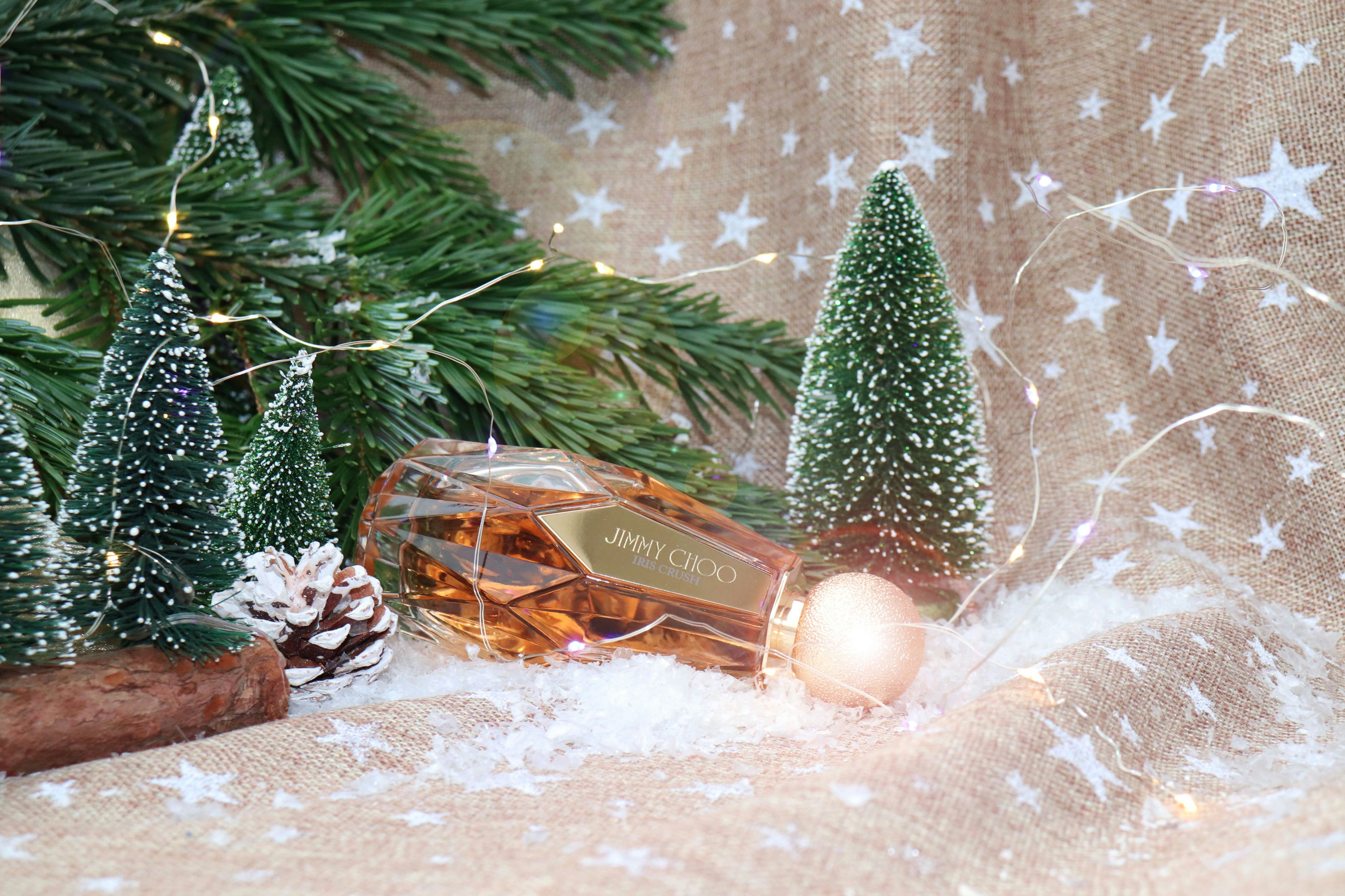 Amber Glow Among Miniature Pines: A Festive Perfume Still Life