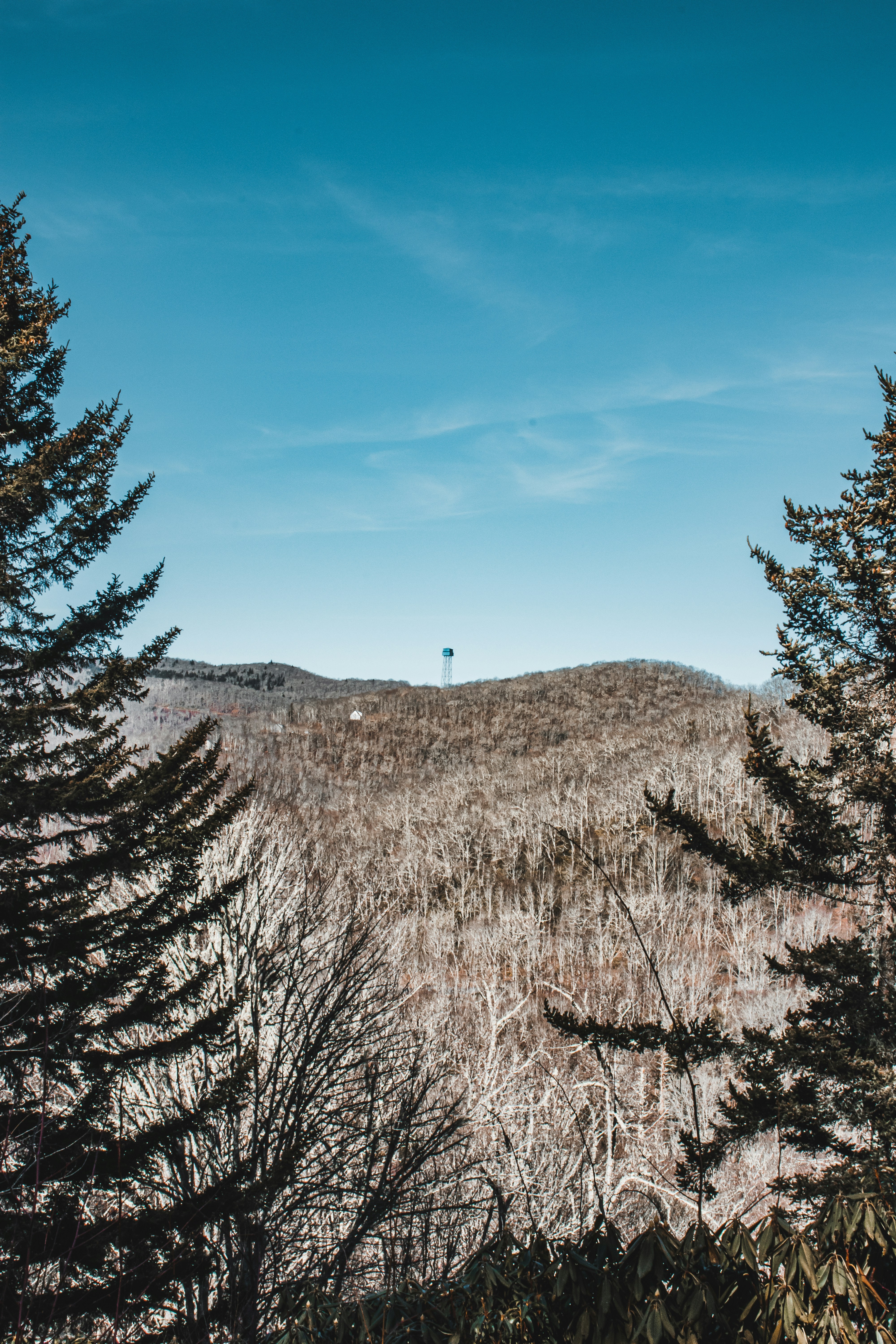 A serene mountain landscape featuring bare trees and distant hills under a clear blue sky. A water tower stands subtly in the background.