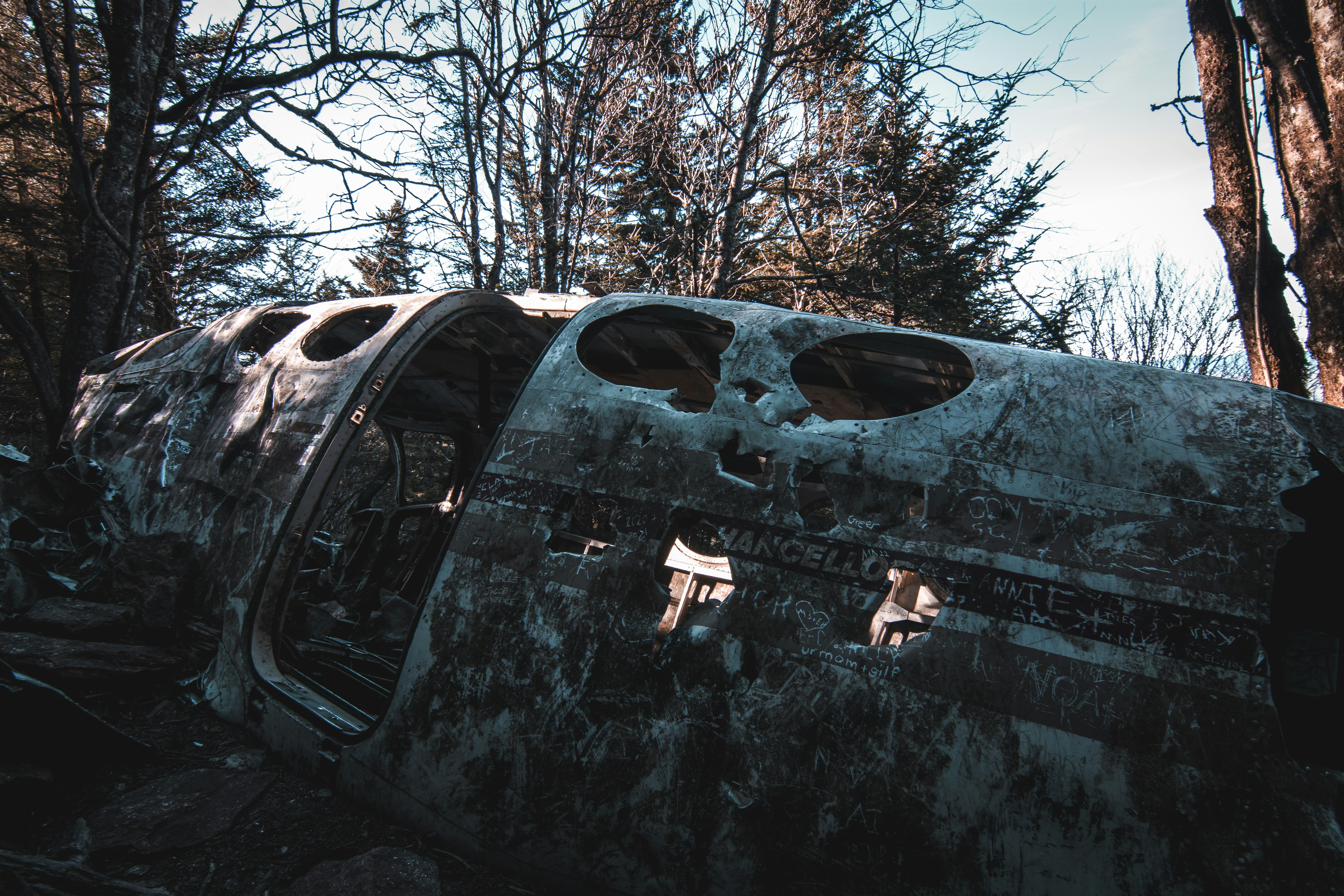 An old run down car in the woods photo – Free Airplane Image on Unsplash