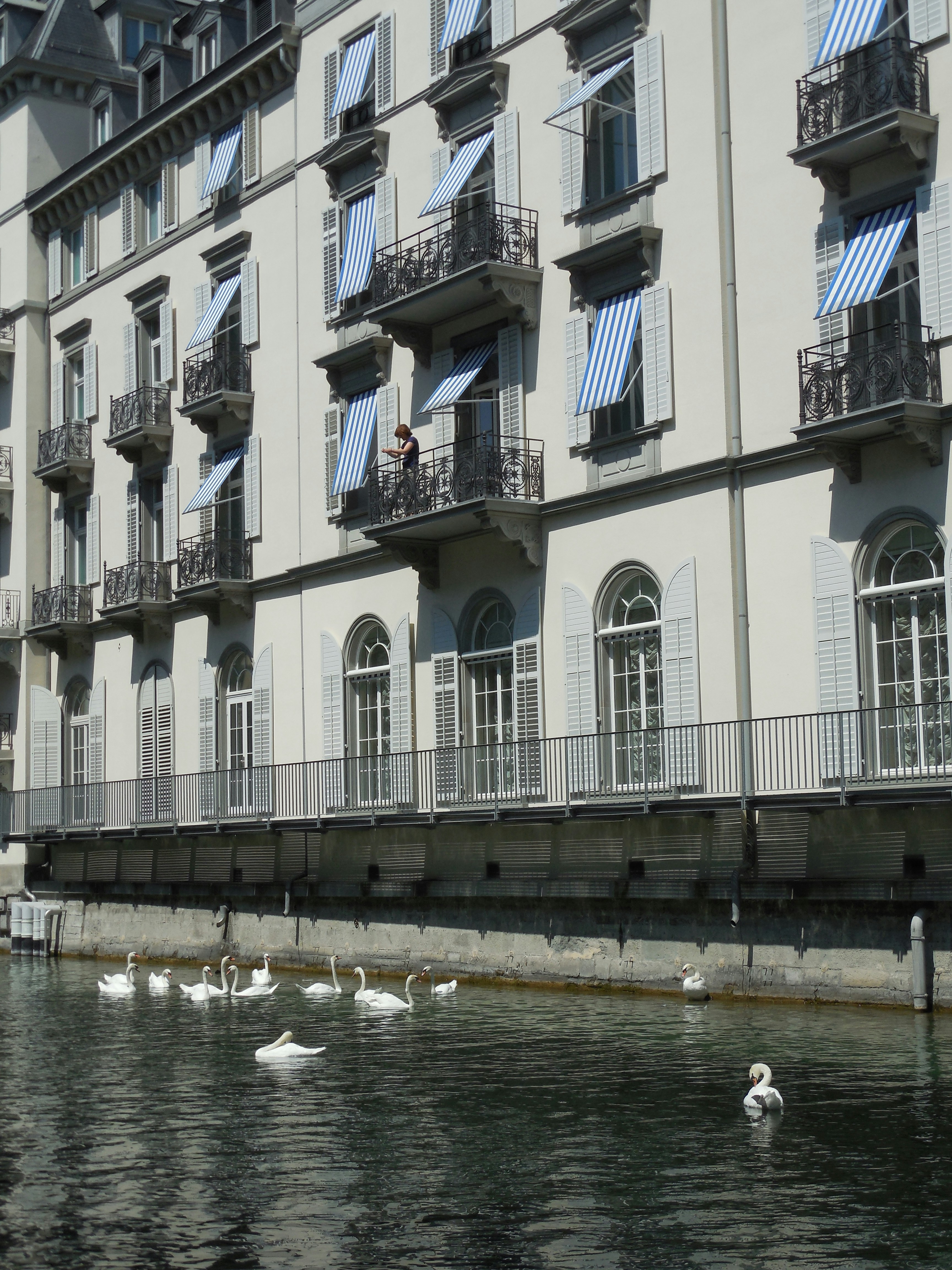 A historic building with striped awnings overlooking a serene body of water, where swans gracefully glide. A figure on a balcony adds a touch of life to the tranquil scene.