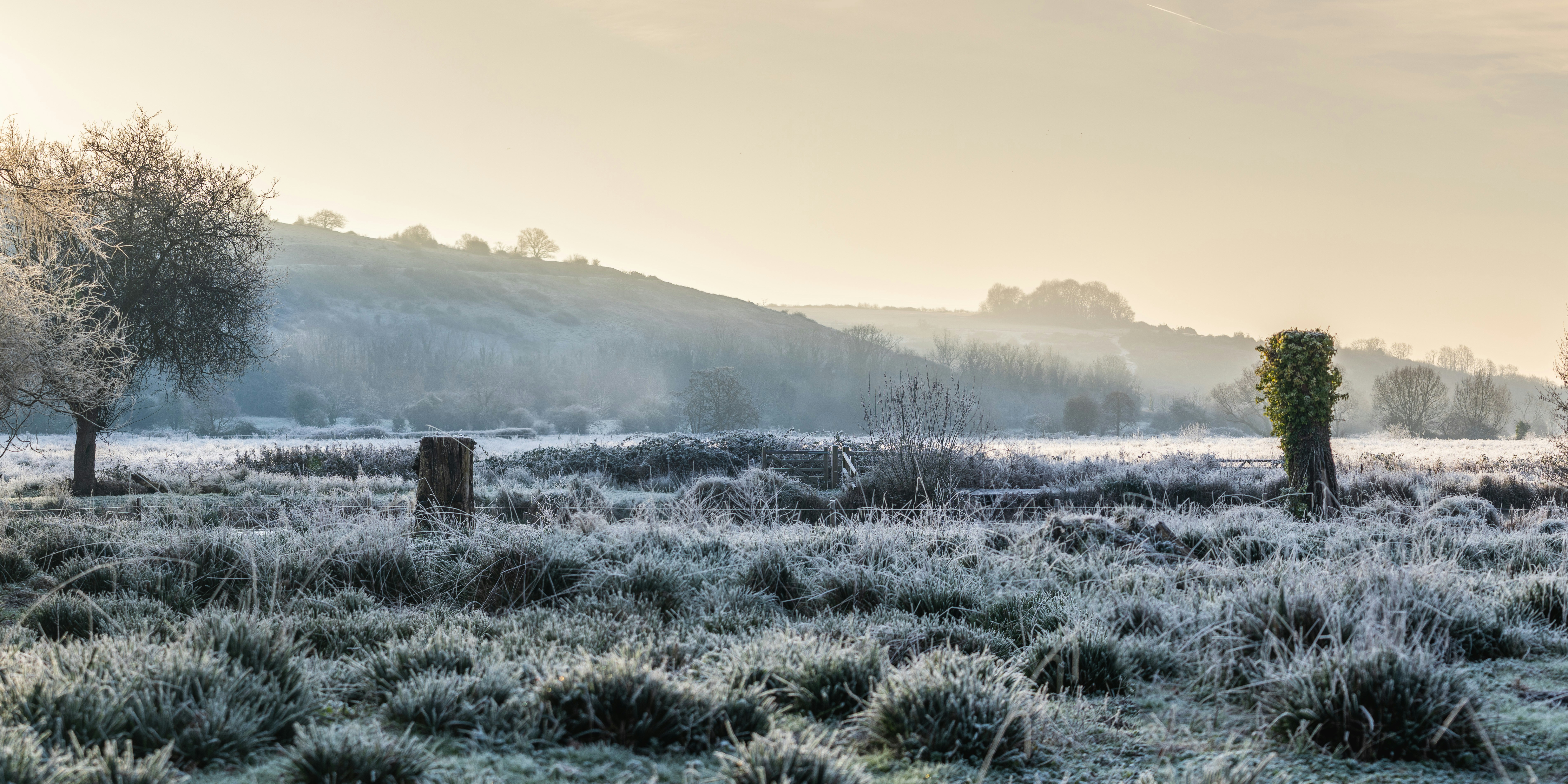 A frosty field with trees in the distance photo – Free Weather Image on ...