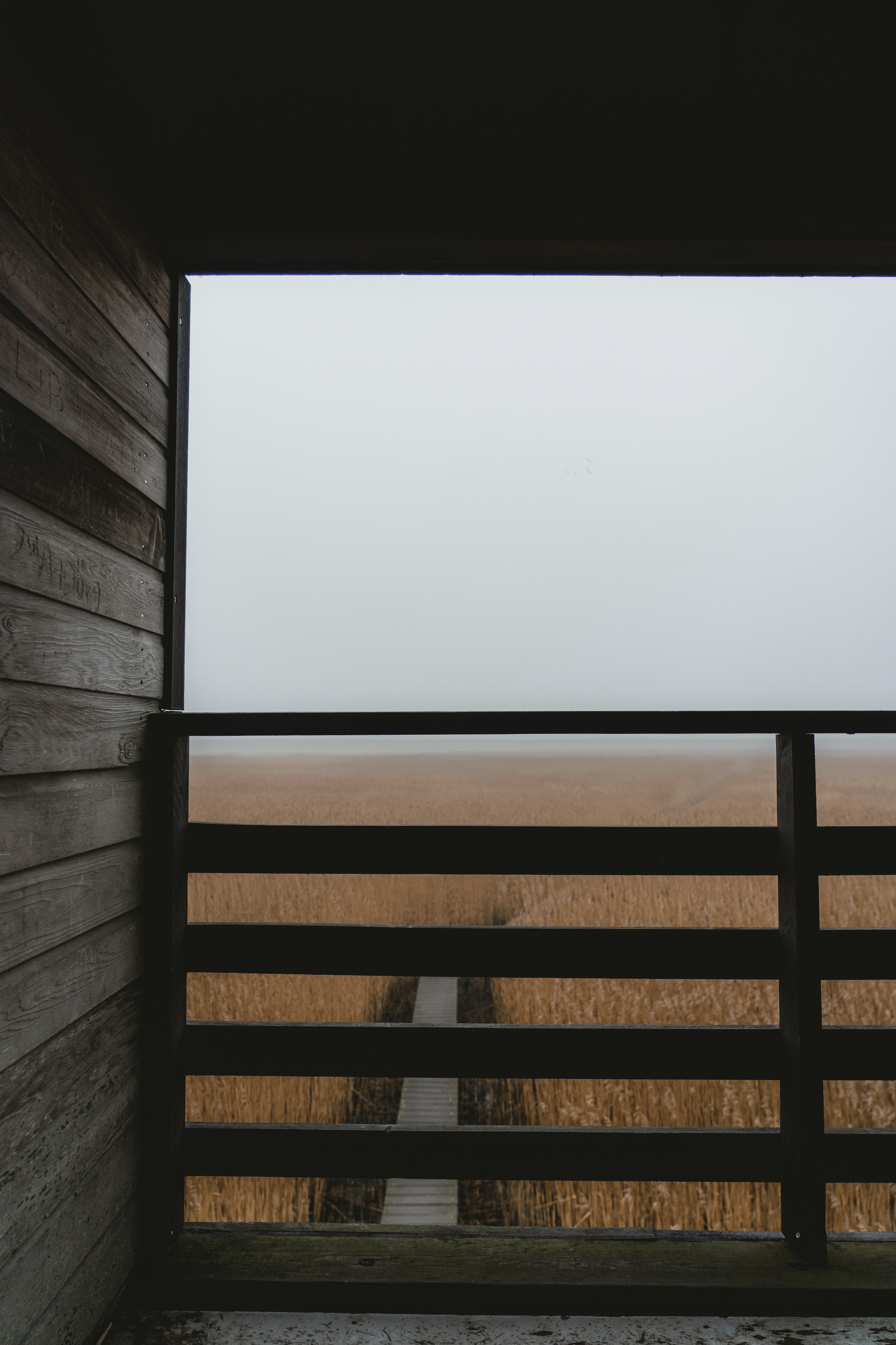 A view of a field through a window photo – Free Morning Image on Unsplash