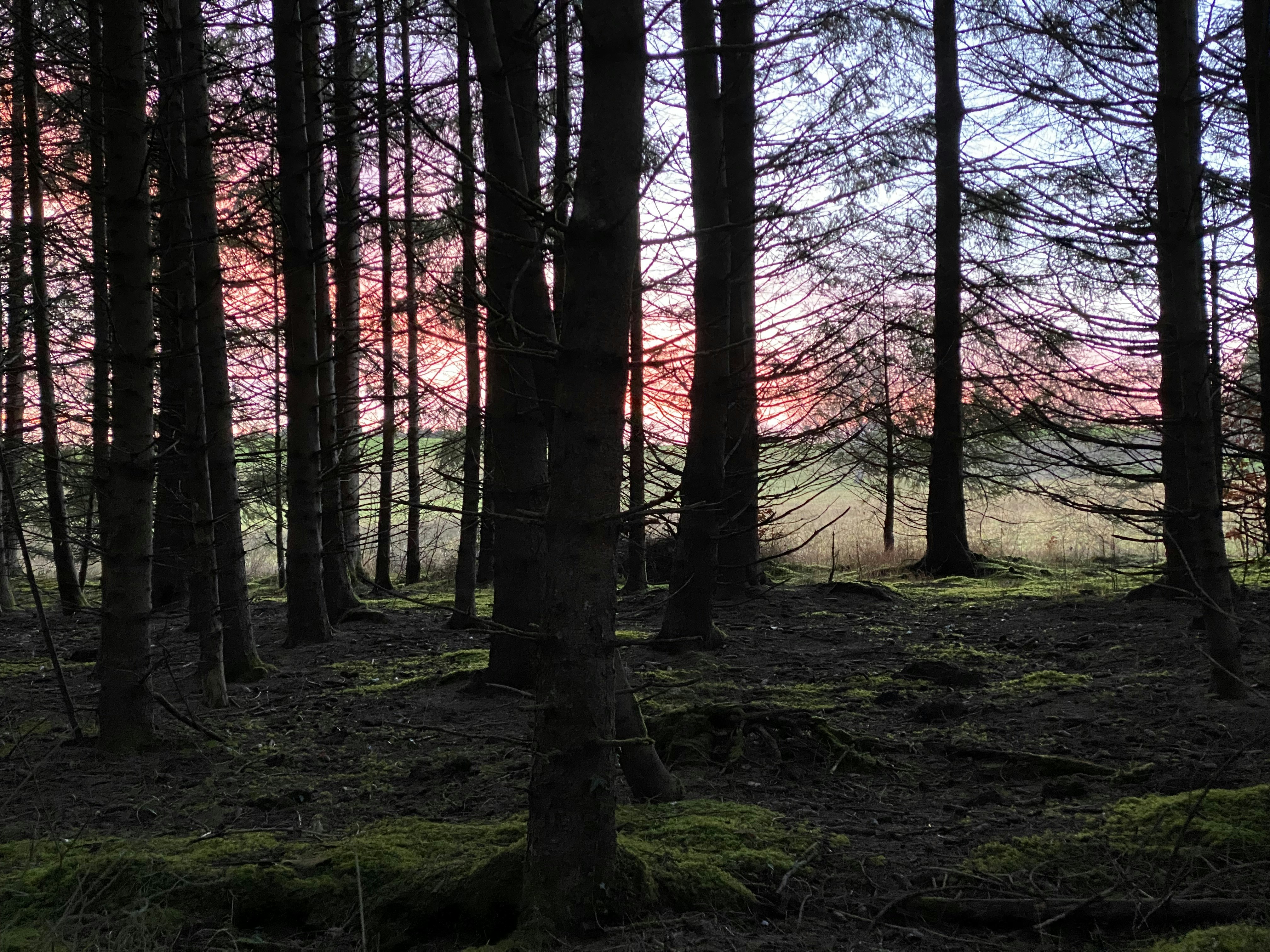 Danny Korpan (@dannykorpan1985) | Comunidade de fotos da Unsplash