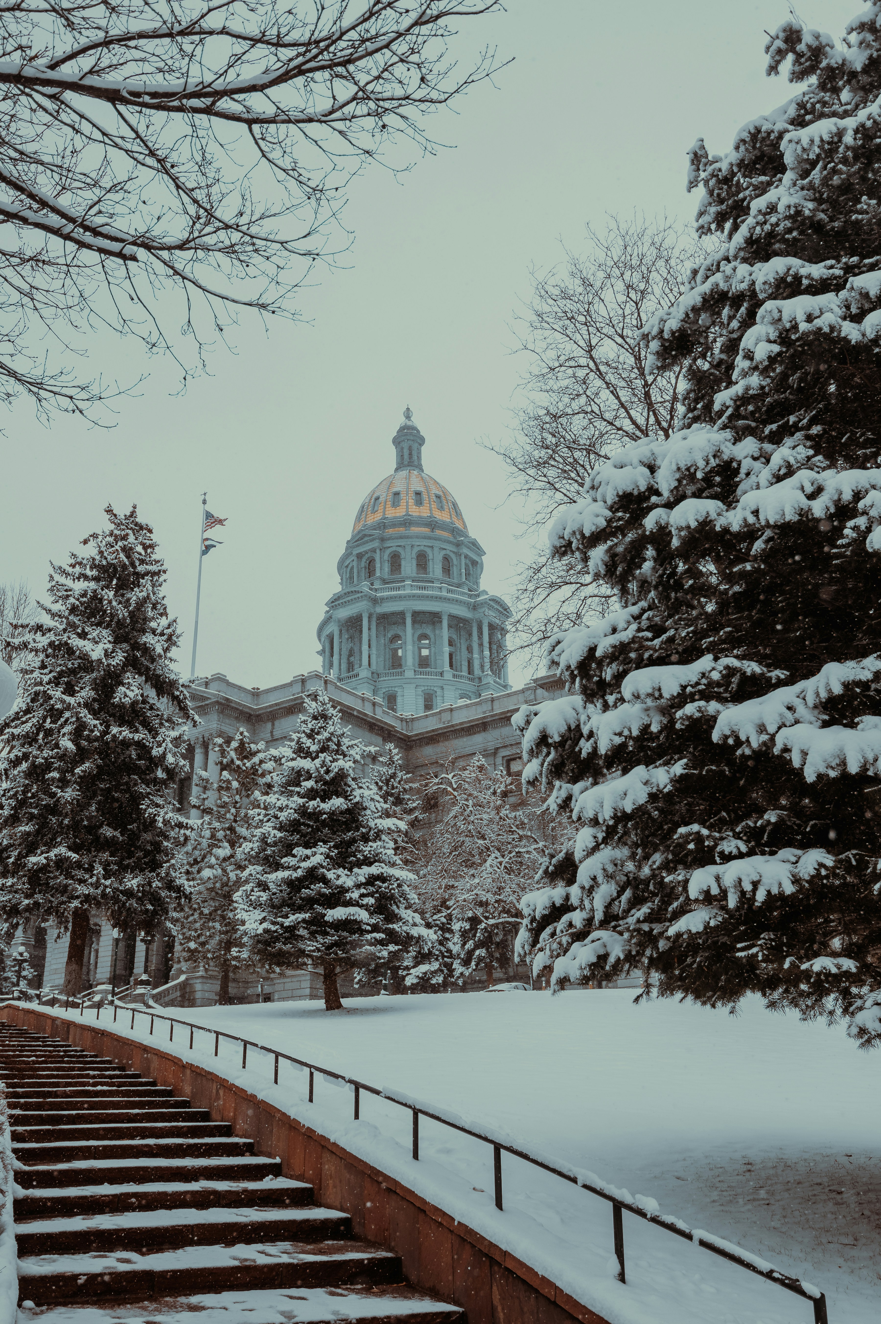 Winter Crown Over the Capitol Dome: Snow-Kissed Steps Lead to a Quiet Summit
