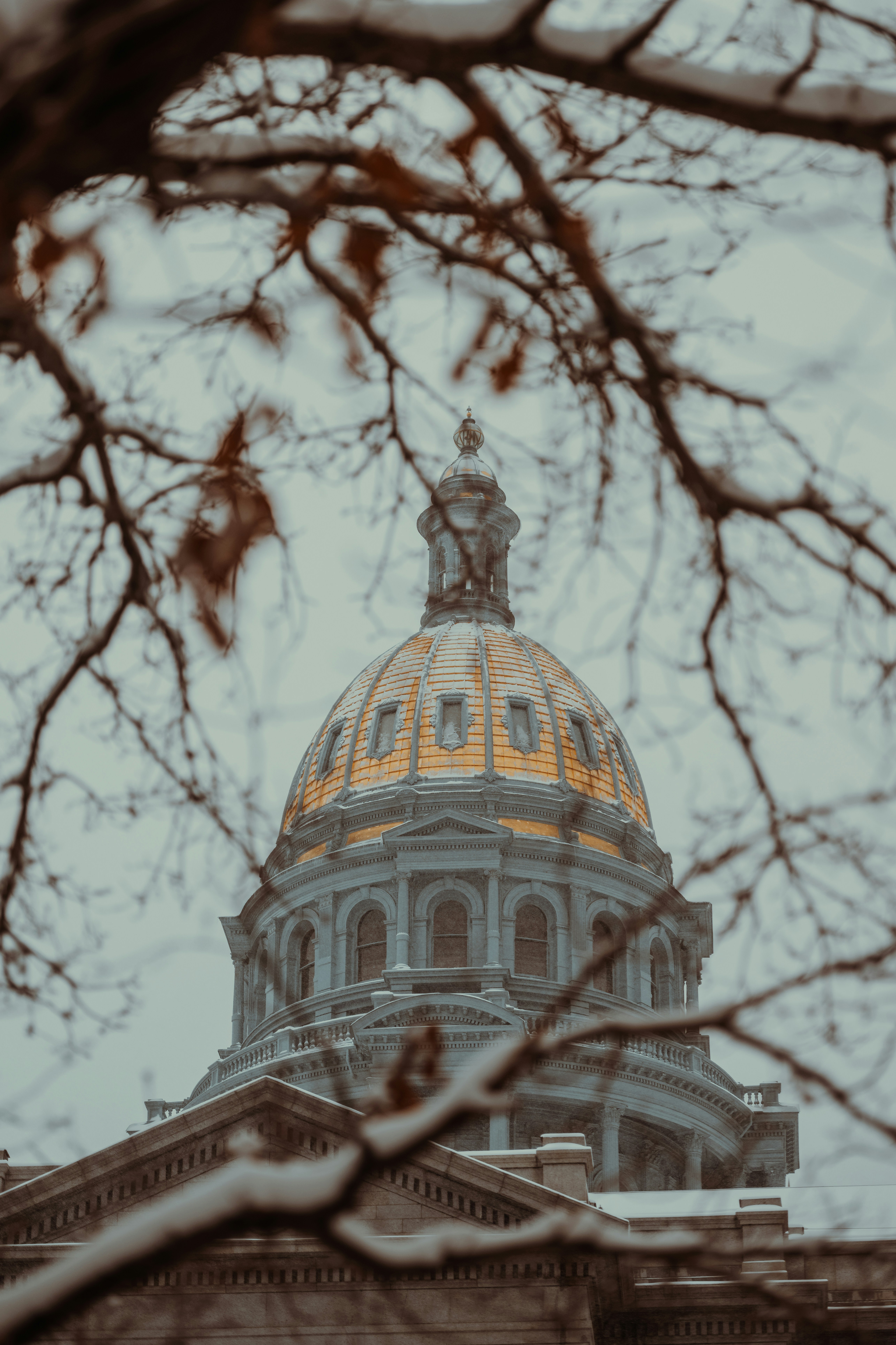 Golden Dome Framed by Winter Branches