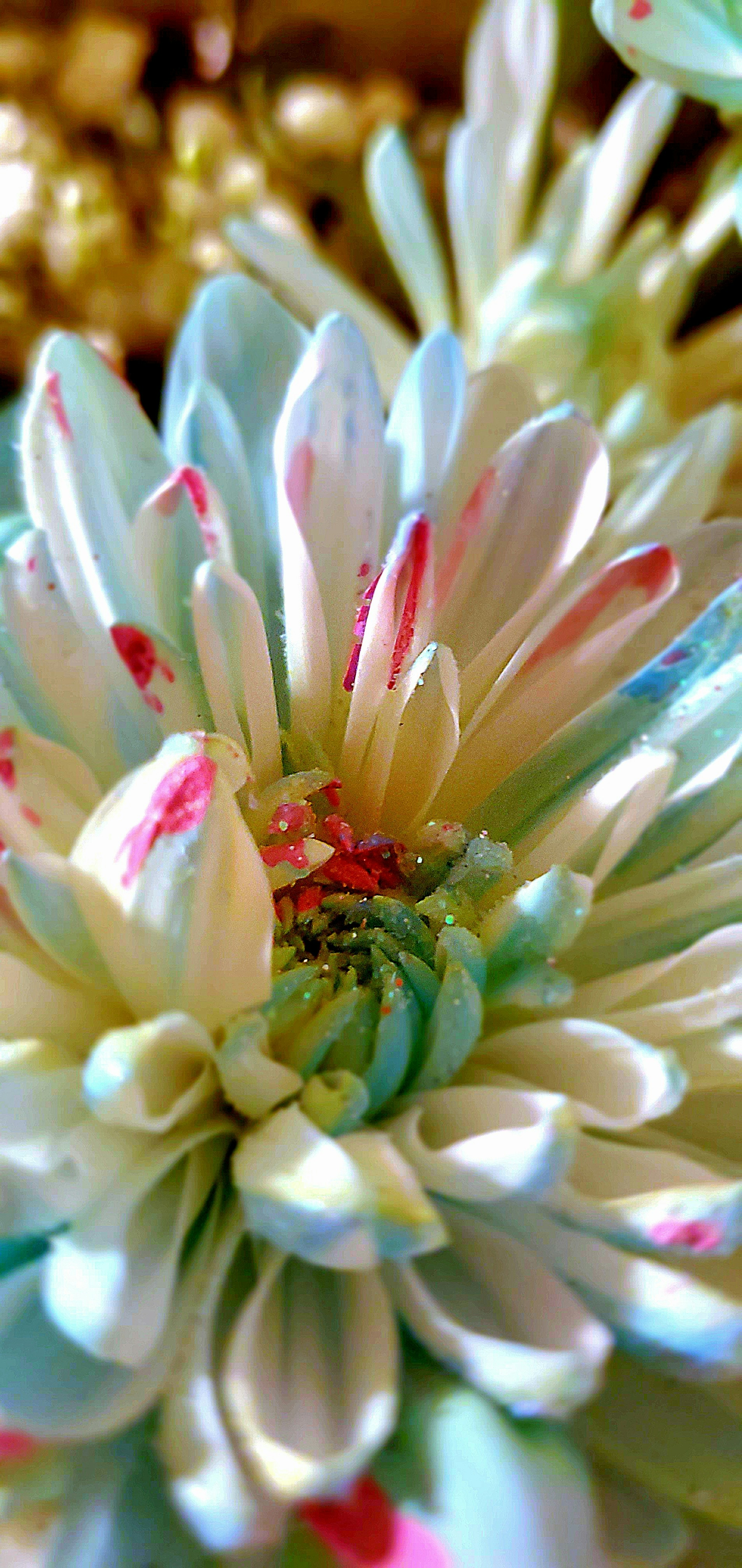 Photo by Sara O with Samsung Galaxy S10e