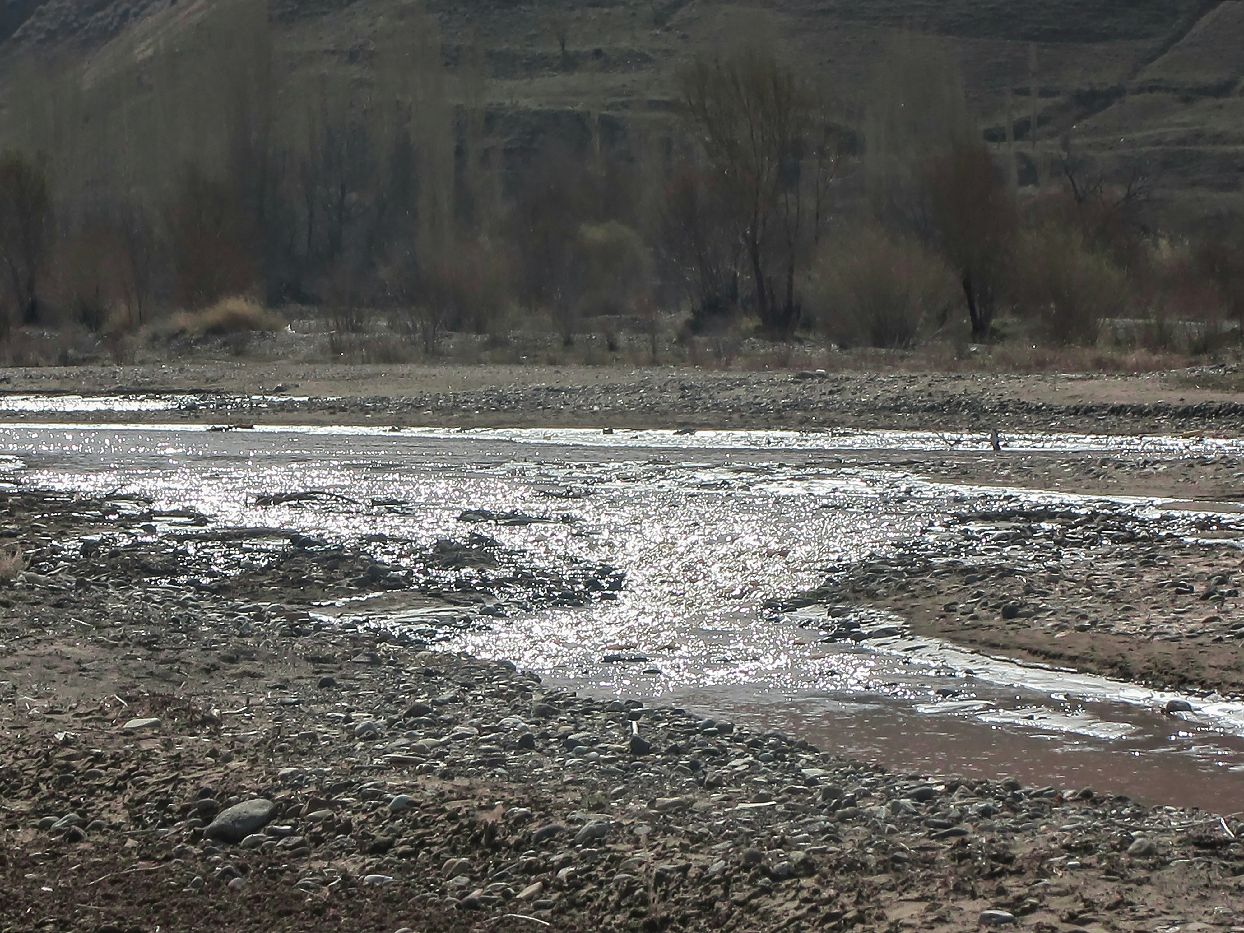Sunlit, shallow riverbed with reflective channels and pebbled banks under distant bare trees; a tranquil, barren landscape emphasizing light on water and mud. (Not a logo, illustration, or painting.)