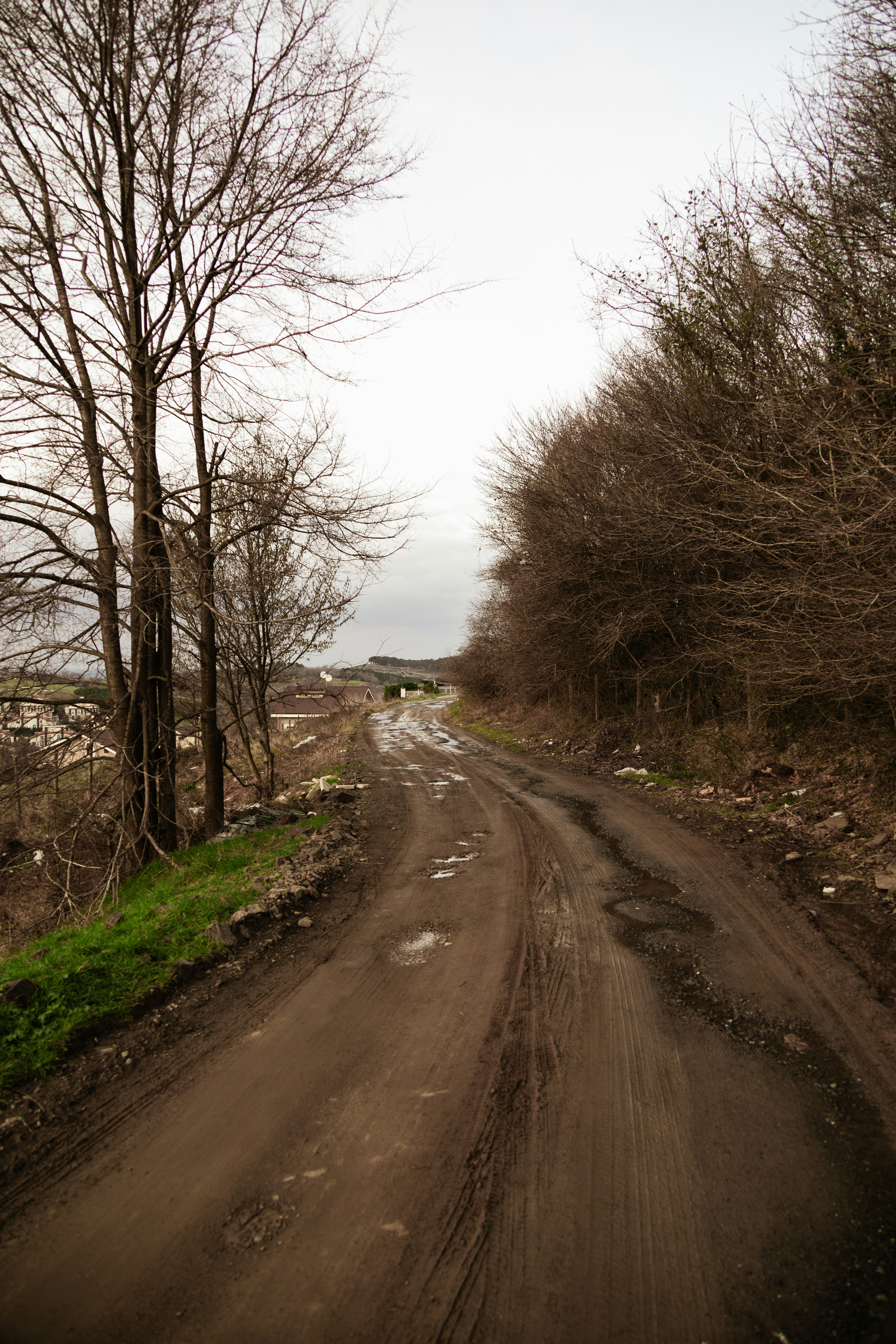 Photo by Ömer Gülcü with Canon EOS RP