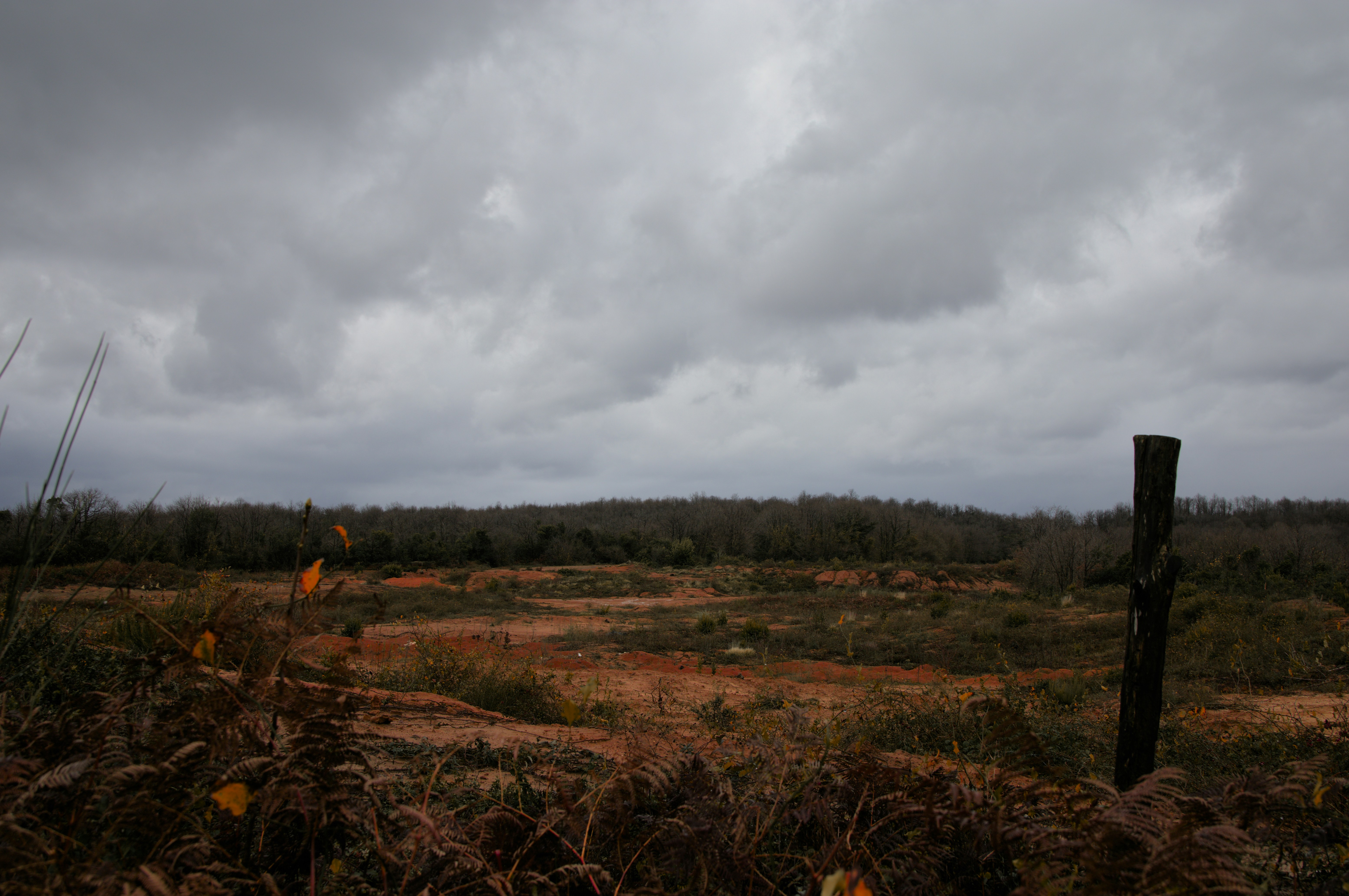 a field with a fence in the middle of it