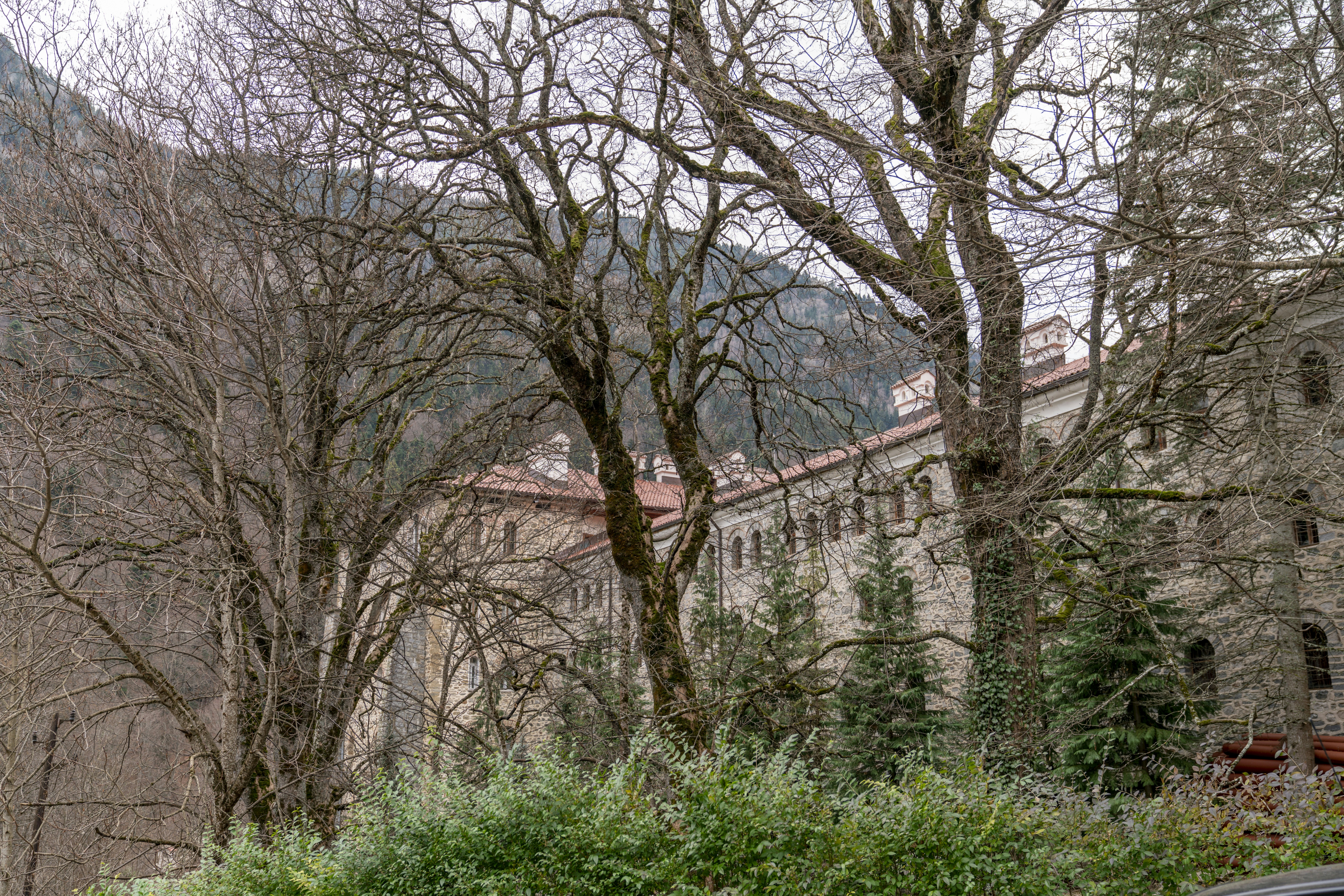 Photo by Ivan Ivanov with Sony Alpha 7R II