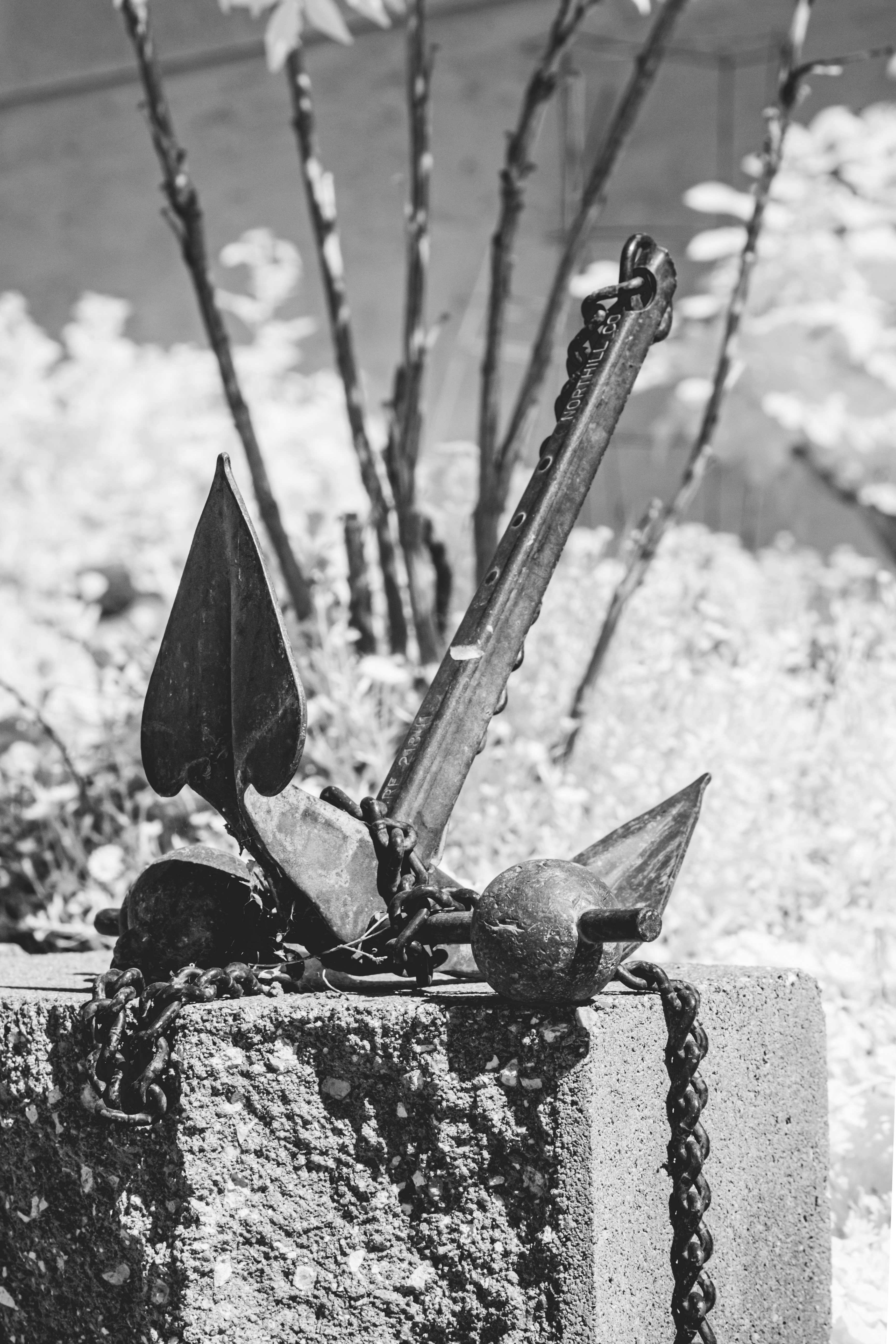 Weathered Anchor: A Rusted Anchor and Chain in a Quiet Garden