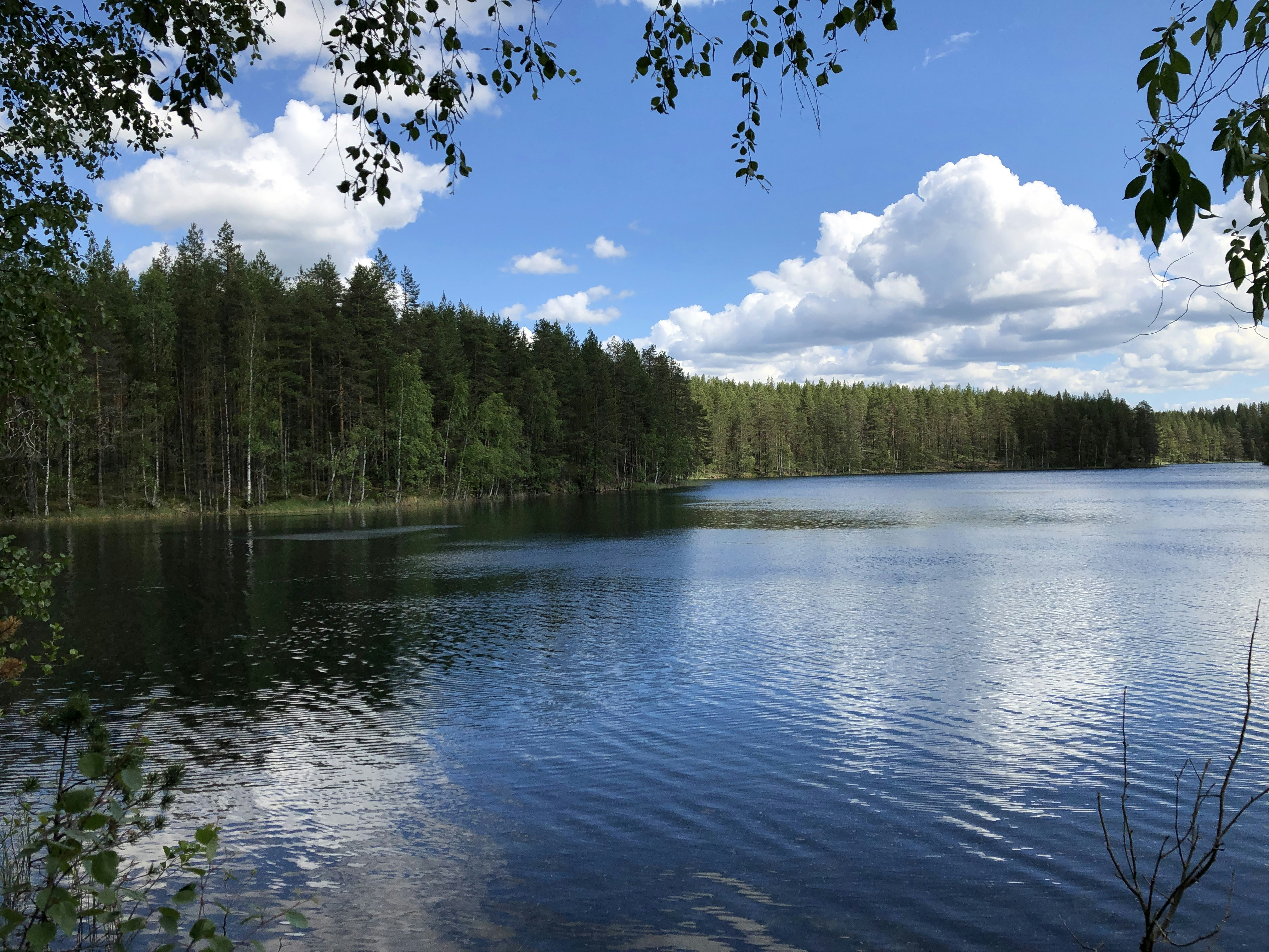 Lake in wilderness during summer time.