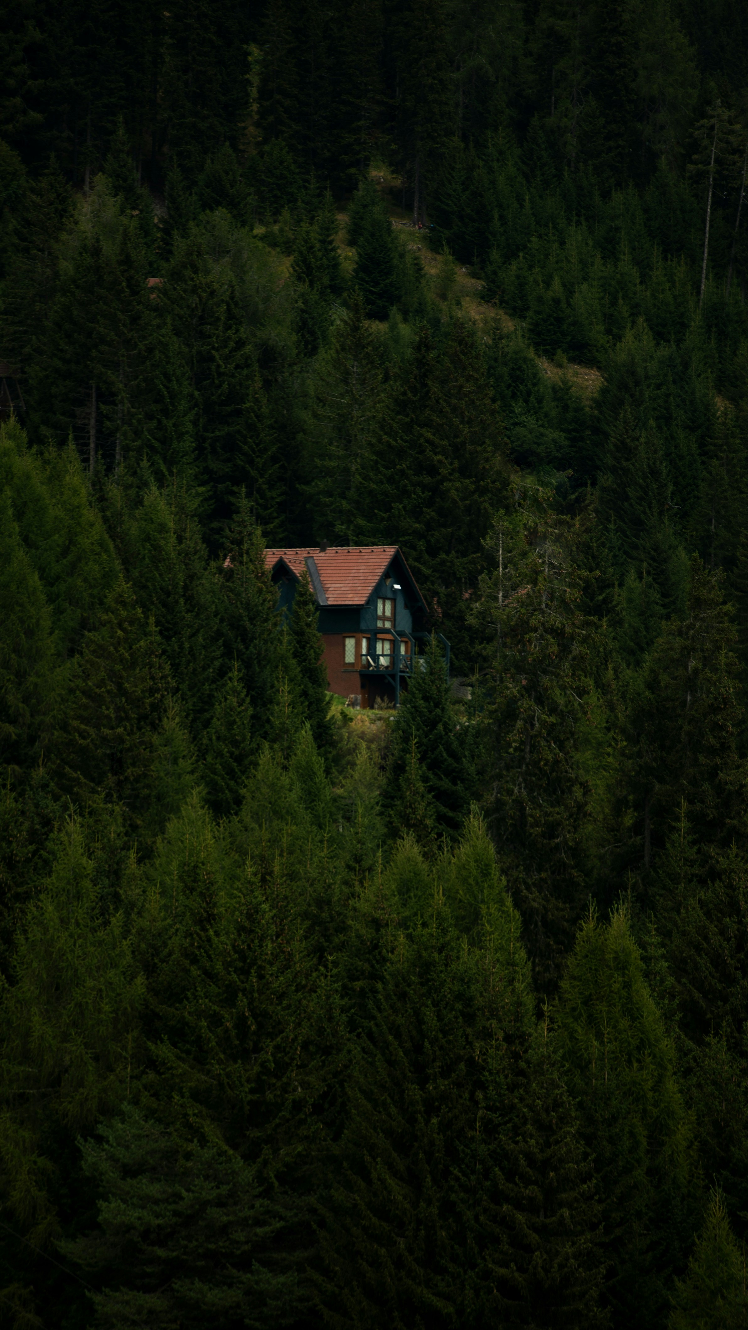 Imágenes de Casa Altum | Descarga imágenes gratuitas en Unsplash