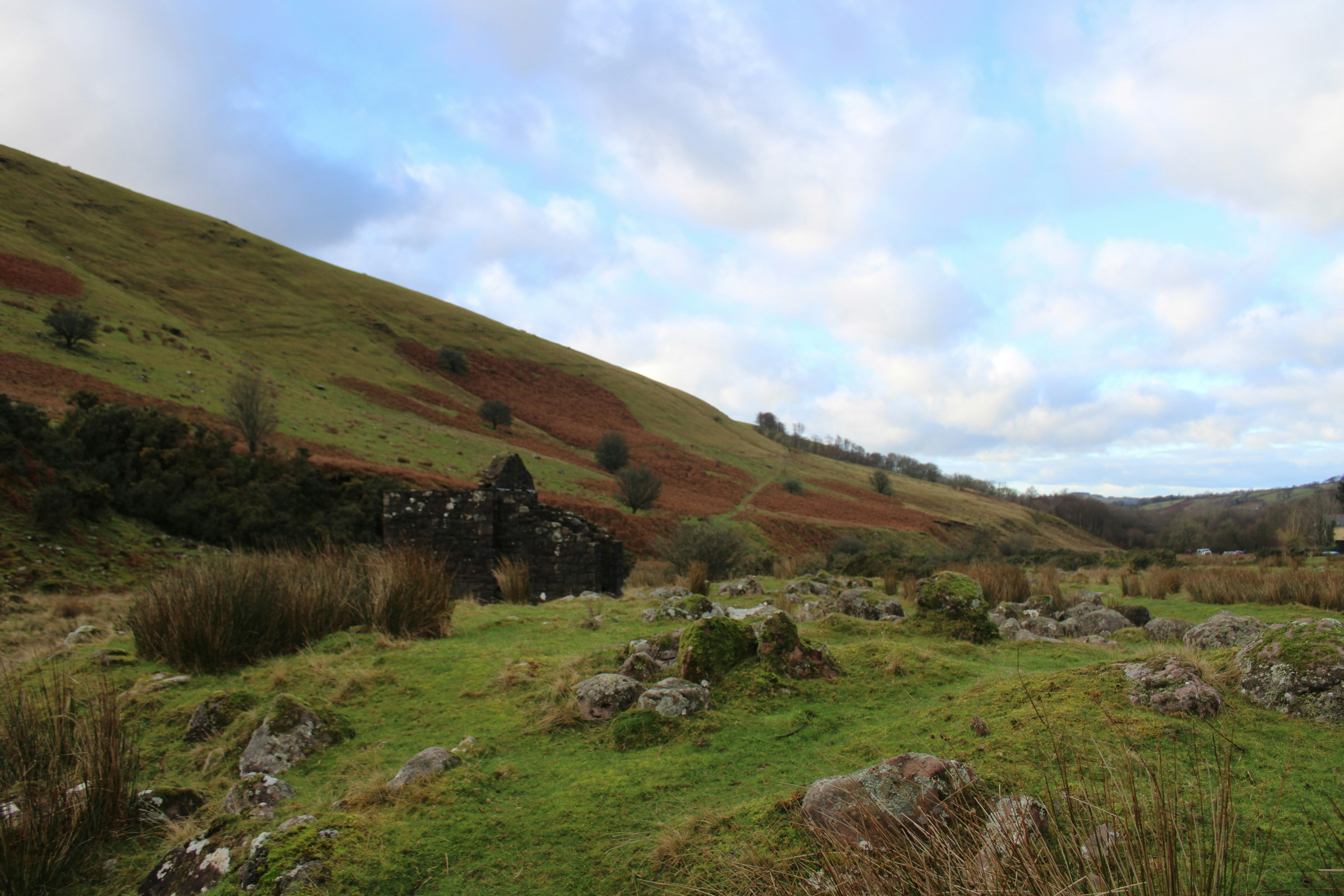 Photo by balesstudio with Canon EOS 2000D