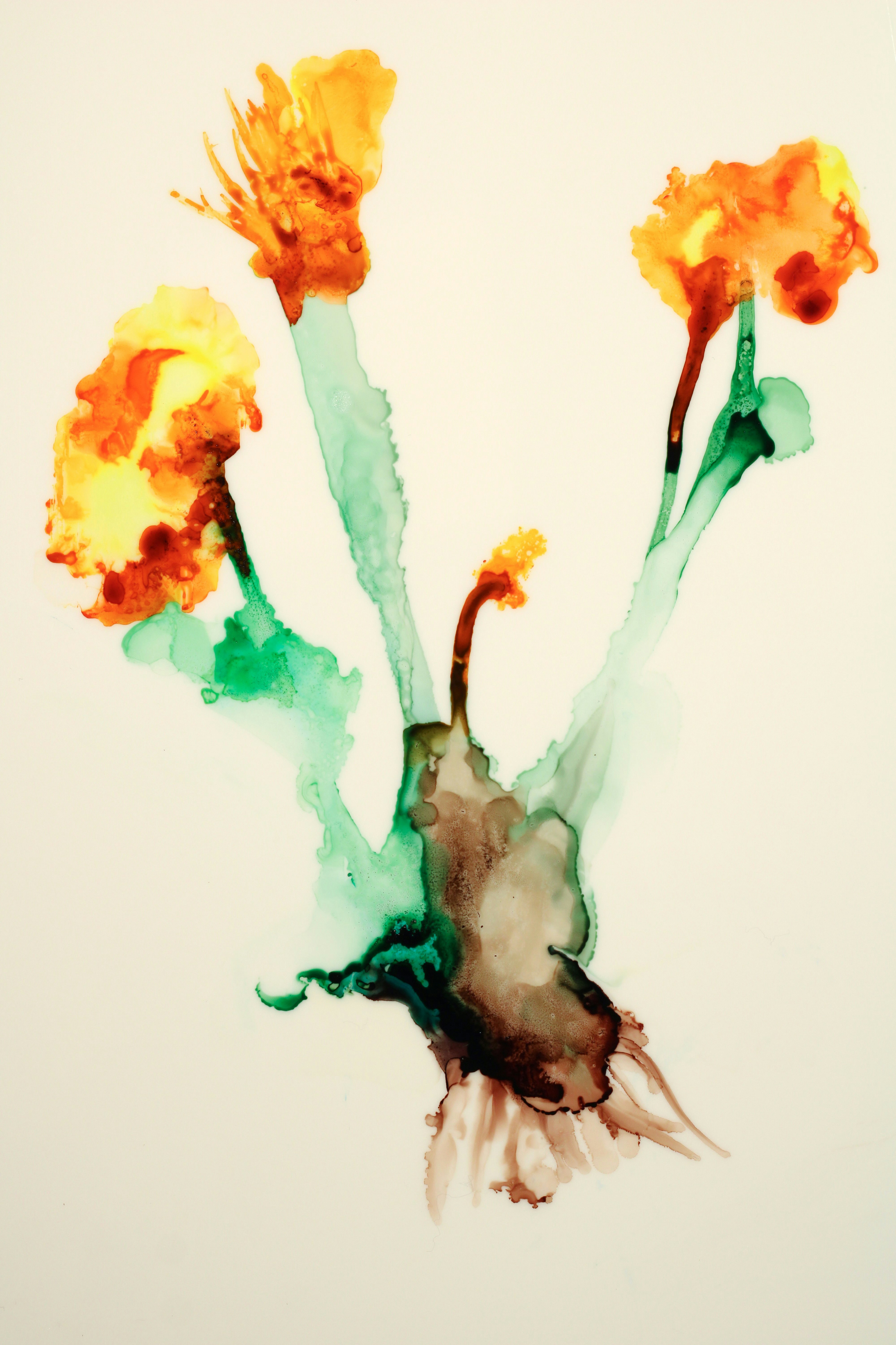 Vibrant Watercolor Bloom: Orange Stems Arising from a Quiet Root