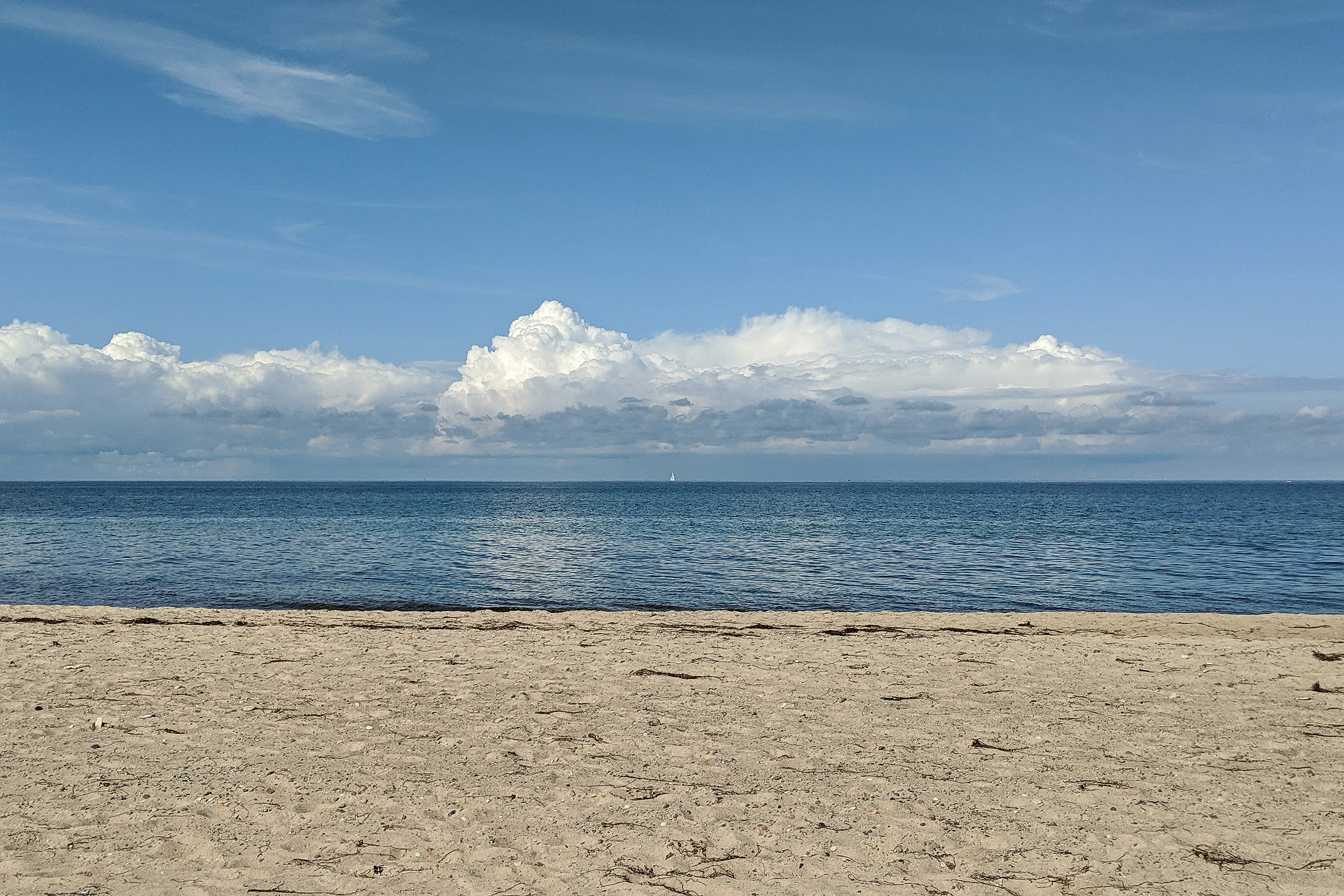 Photo by David Koch with Google Pixel 2 XL