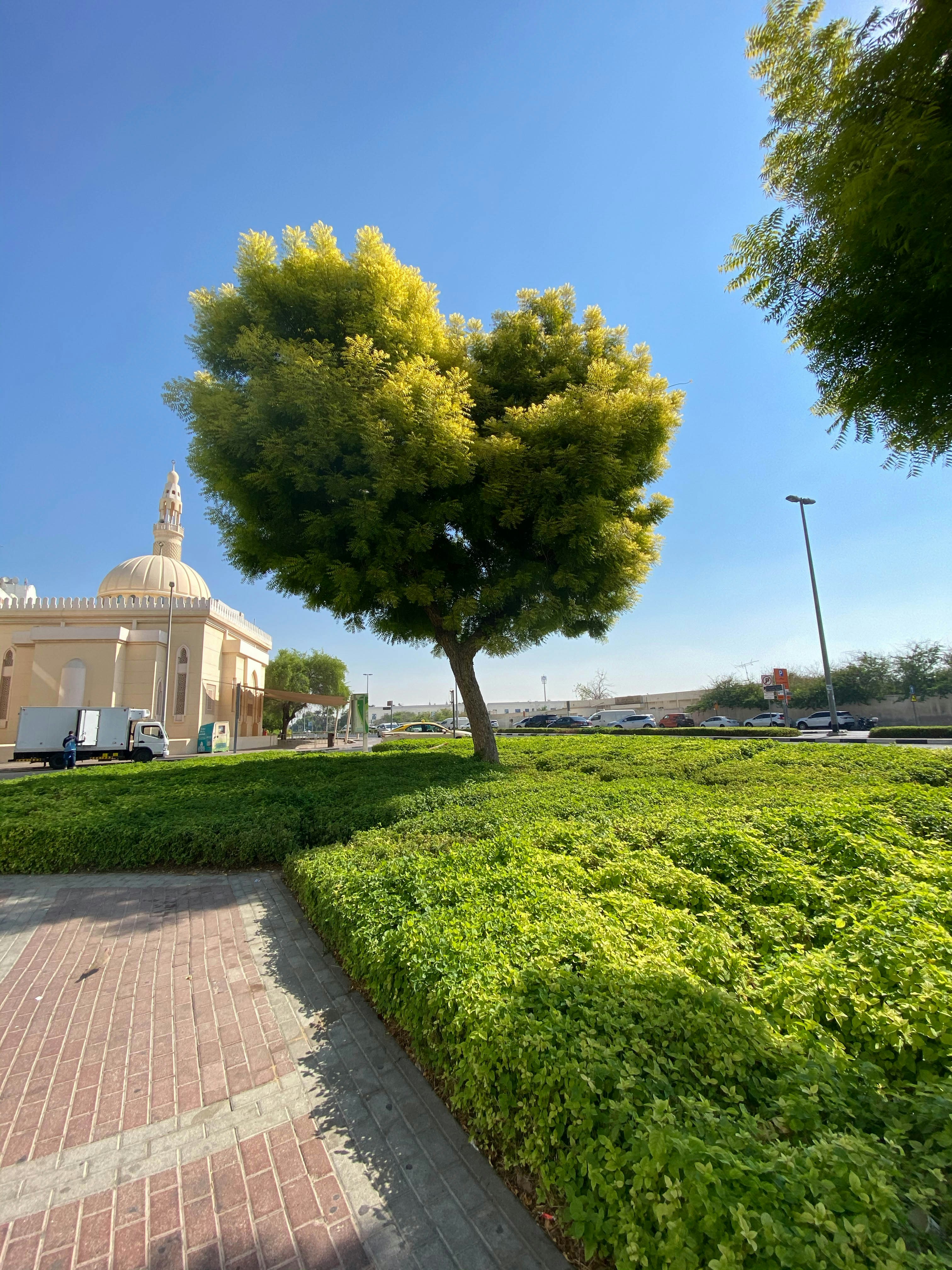 A large building with a tree in the middle of it photo – Free Al baraha ...
