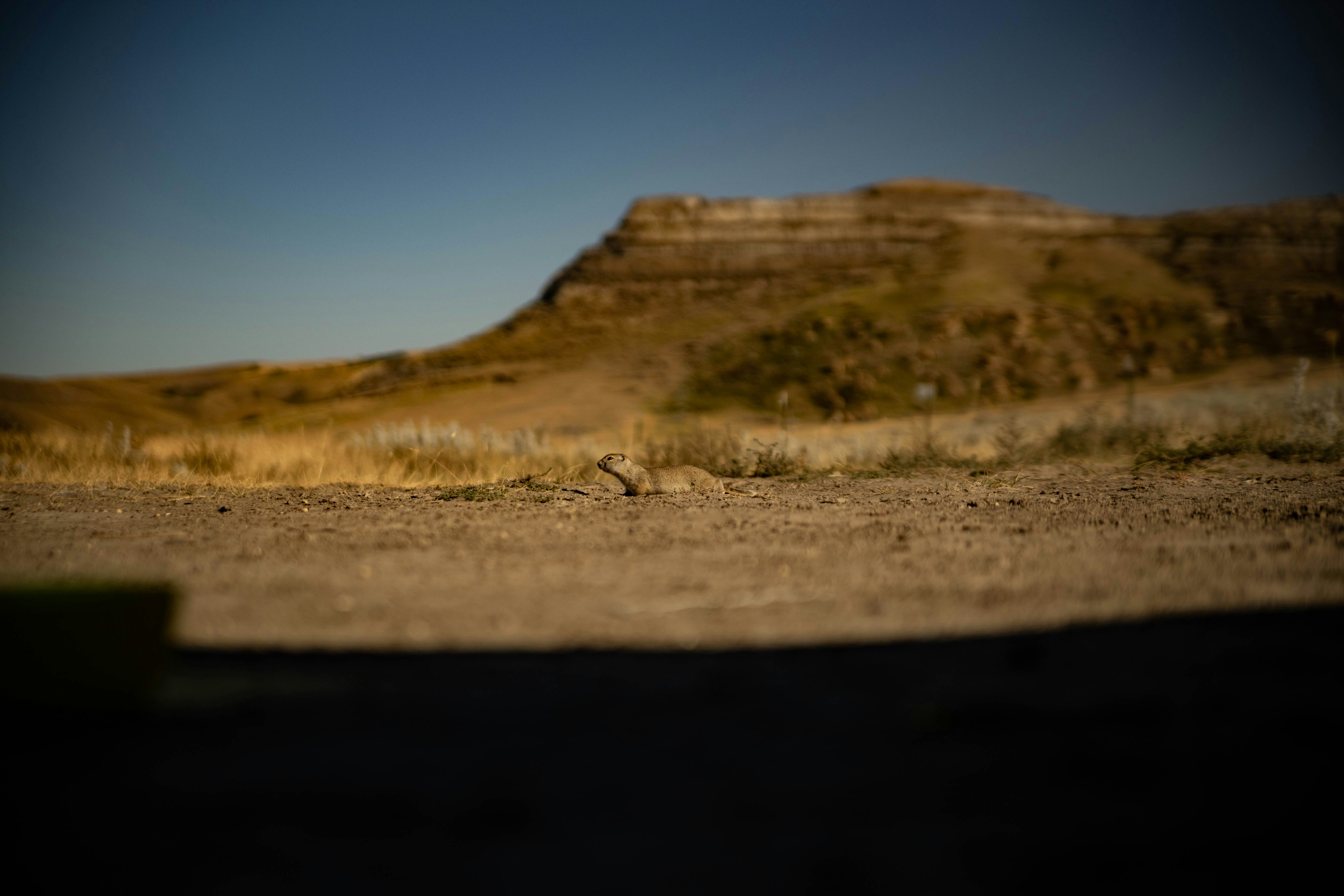 Photo by Justine Poirrier with Canon EOS R