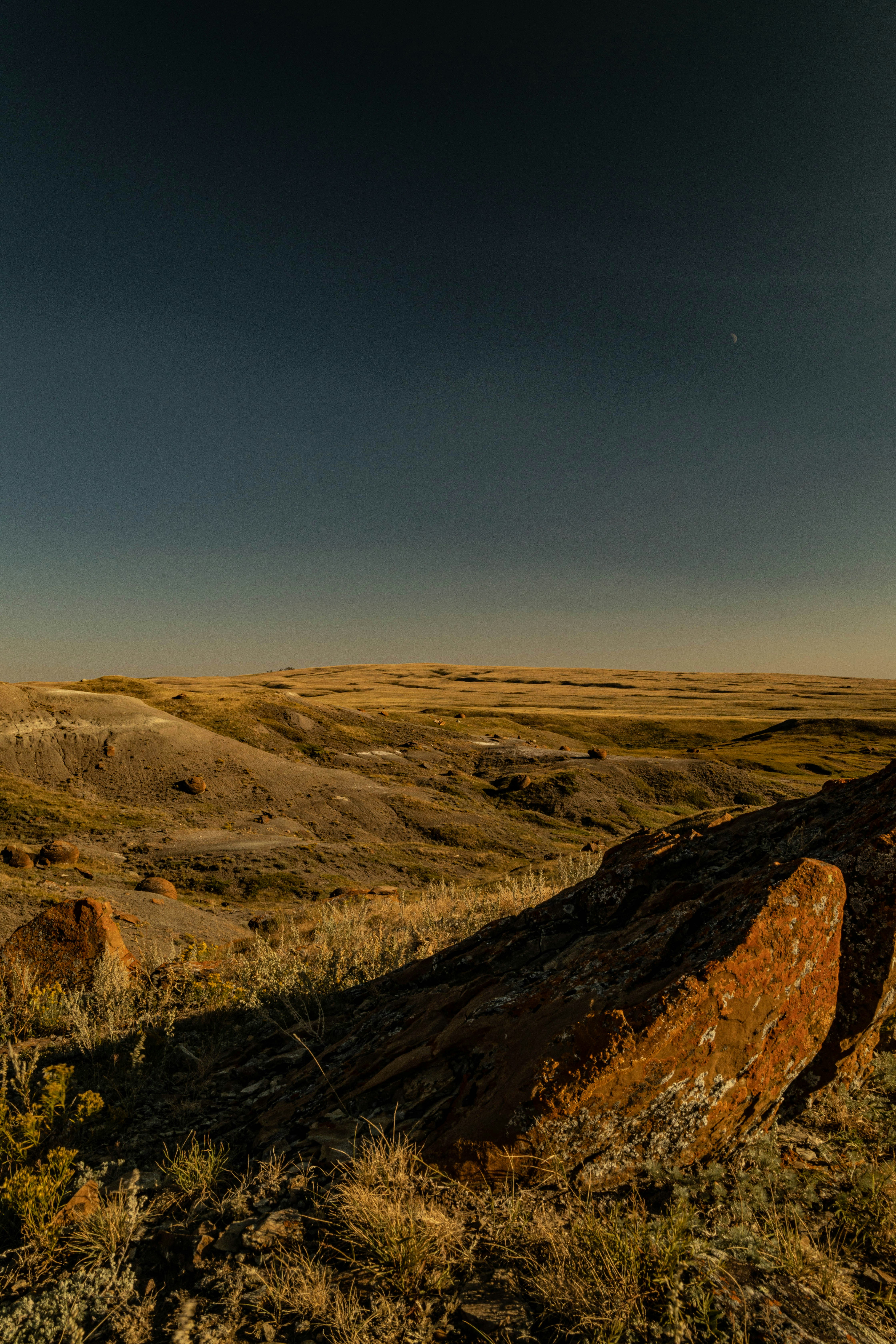 Un gros rocher au milieu d’un champ photo – Photo Canada Gratuite sur ...
