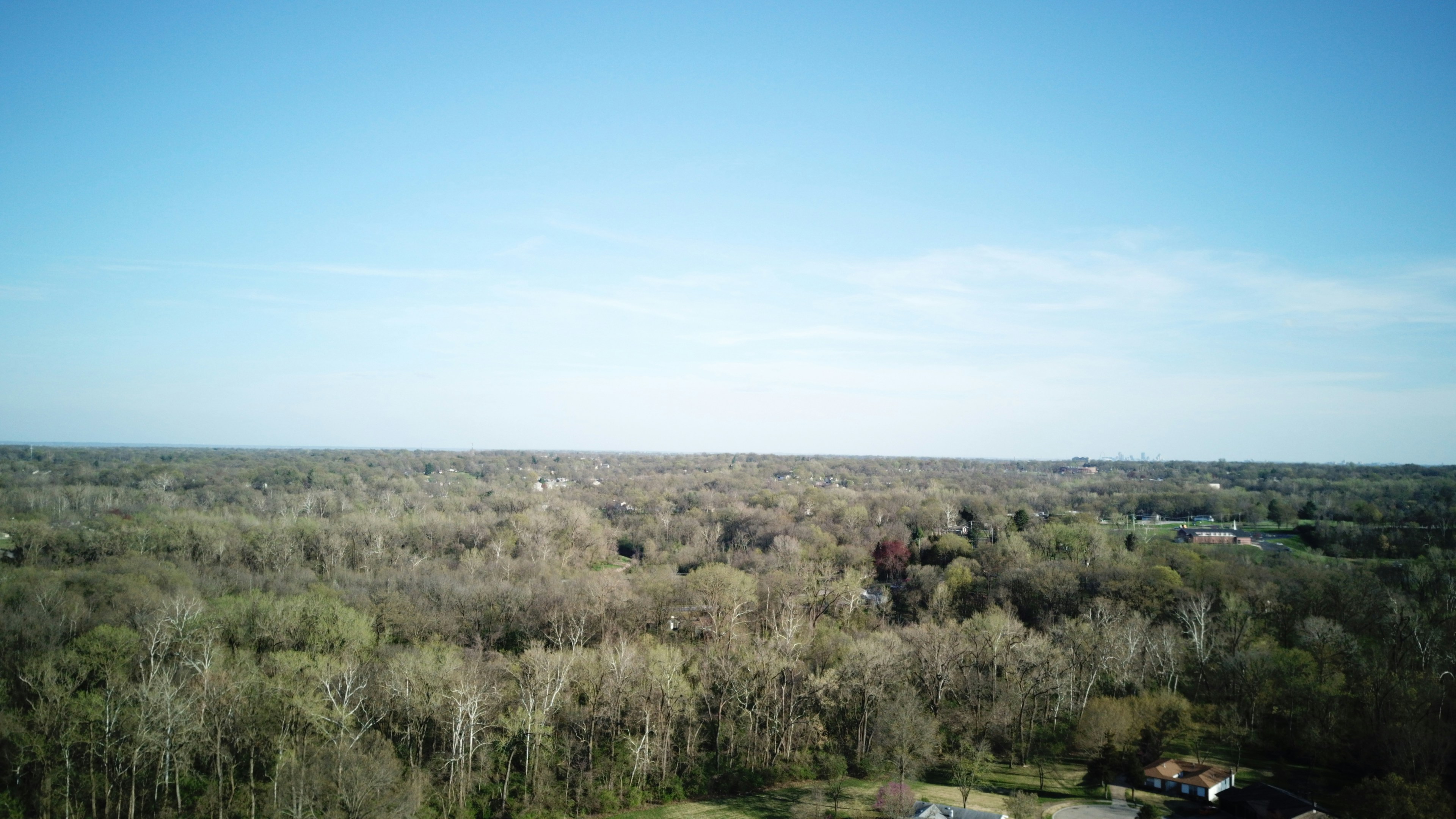 Expansive view of lush, green treetops under a clear blue sky, showcasing the tranquility of nature from above.