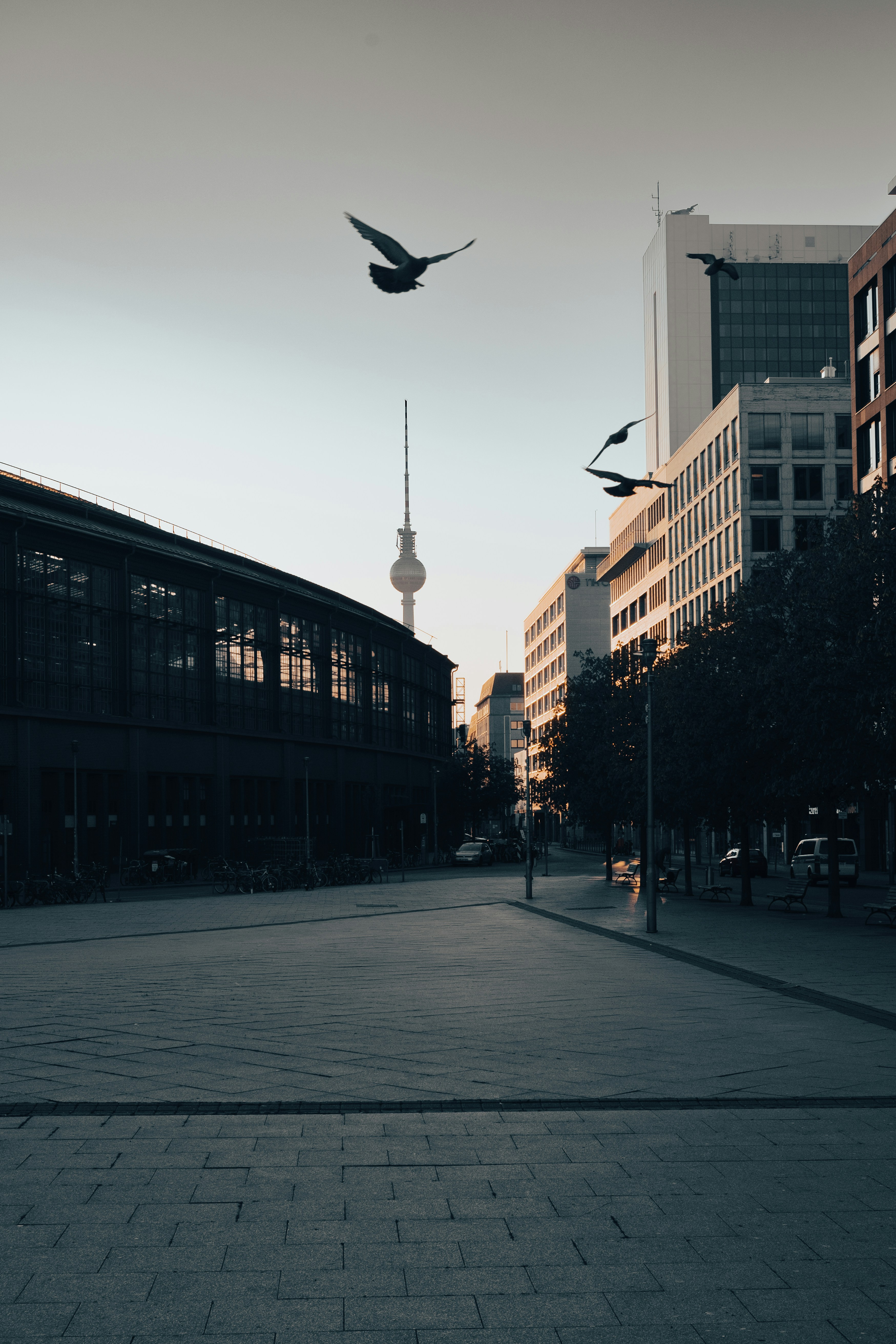 Winged Crossing over a Modern City Spine at Dusk