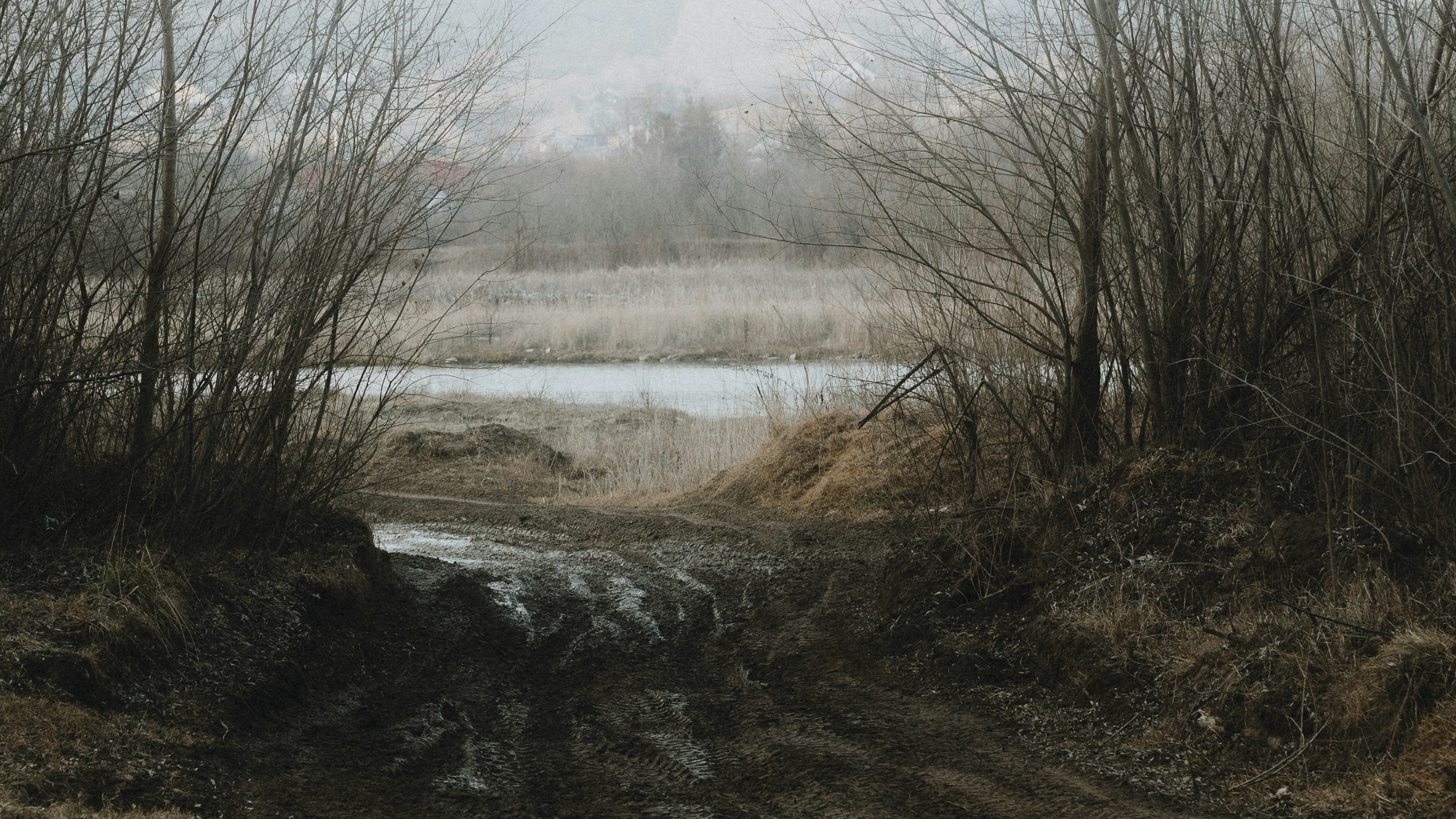 A muddy path through a field next to a lake photo – Free Forest Image ...